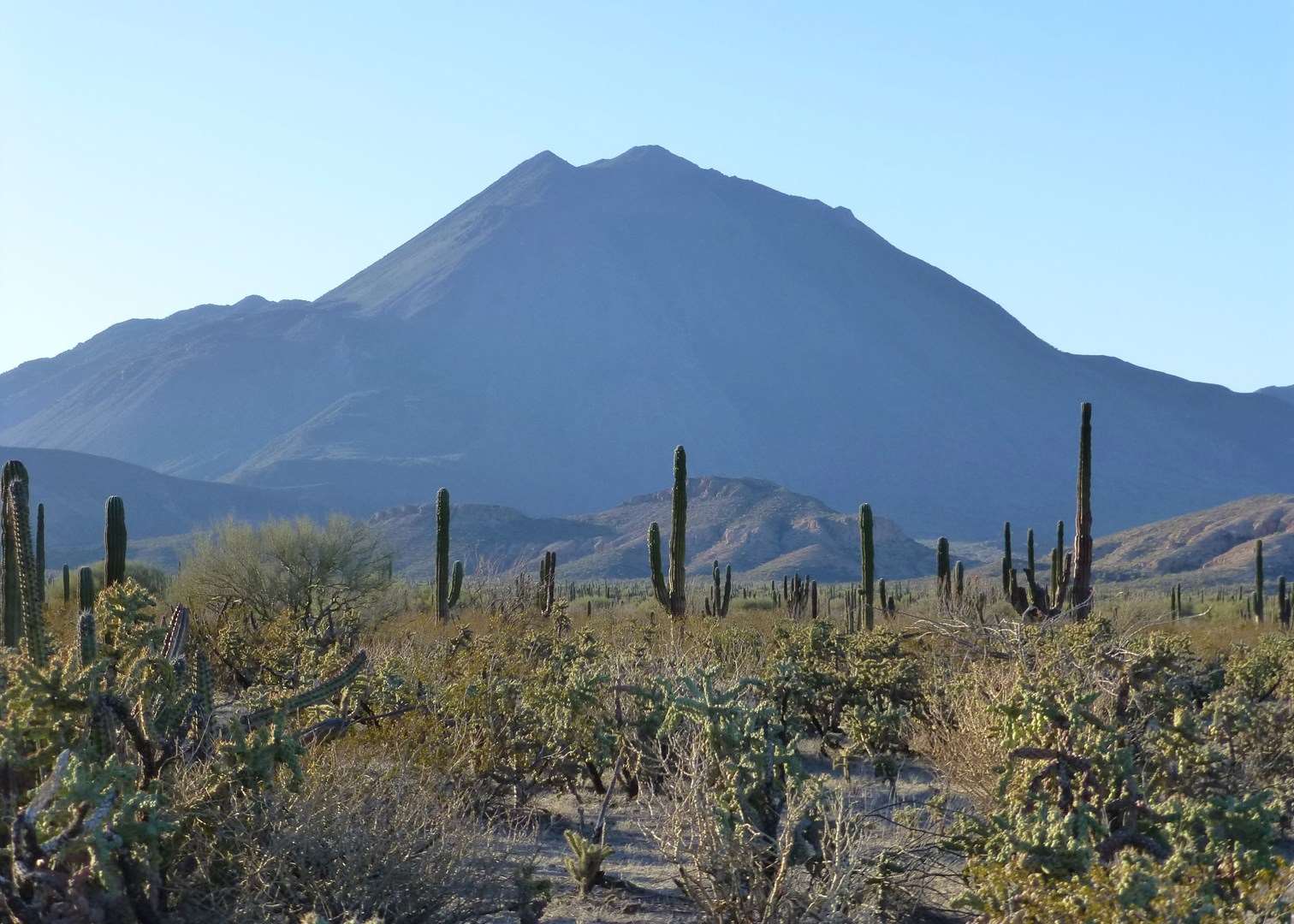 Visit Baja California on a trip to Mexico | Audley Travel