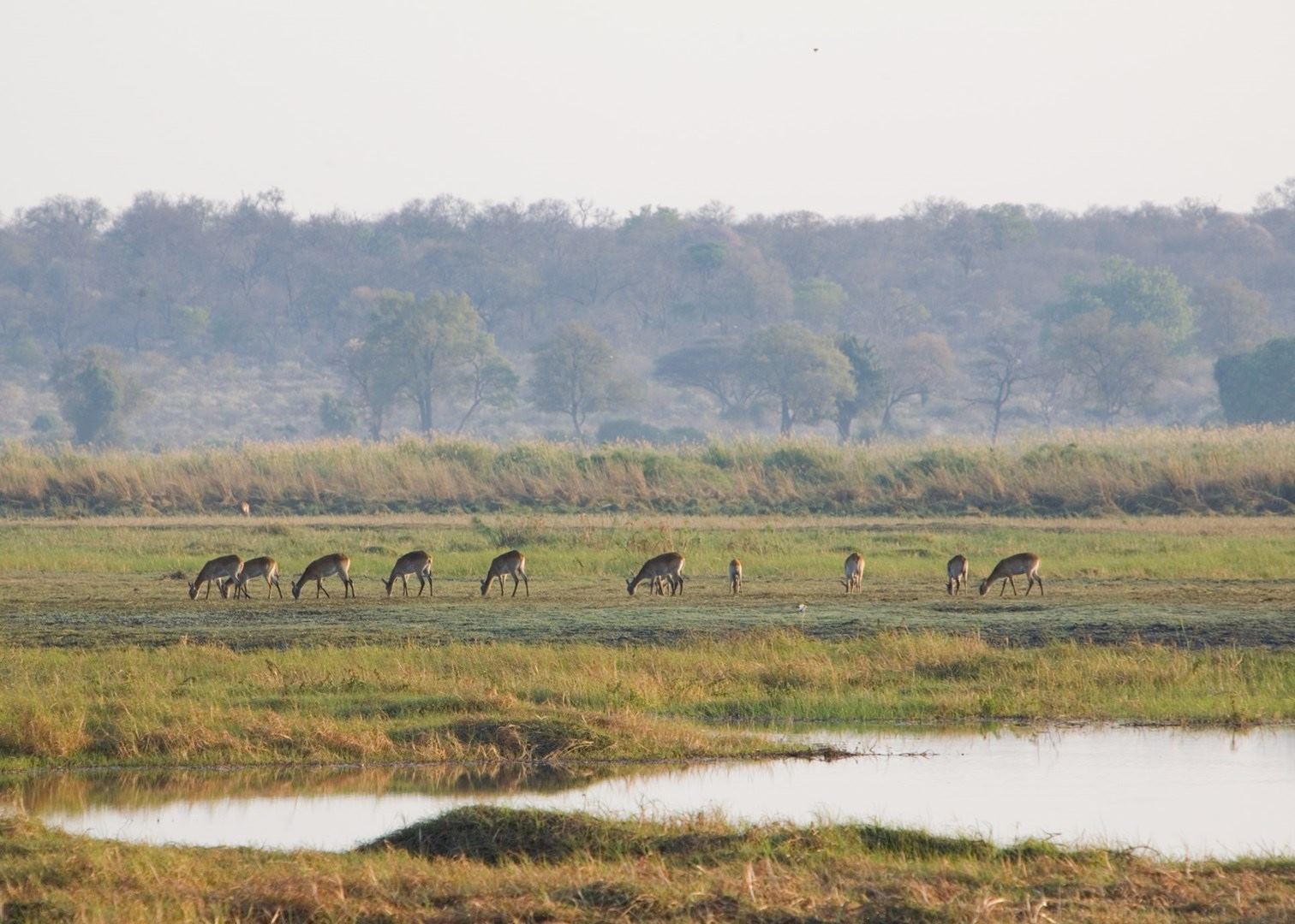 Popa Falls & Mahangu Game Park, Namibia | Audley Travel