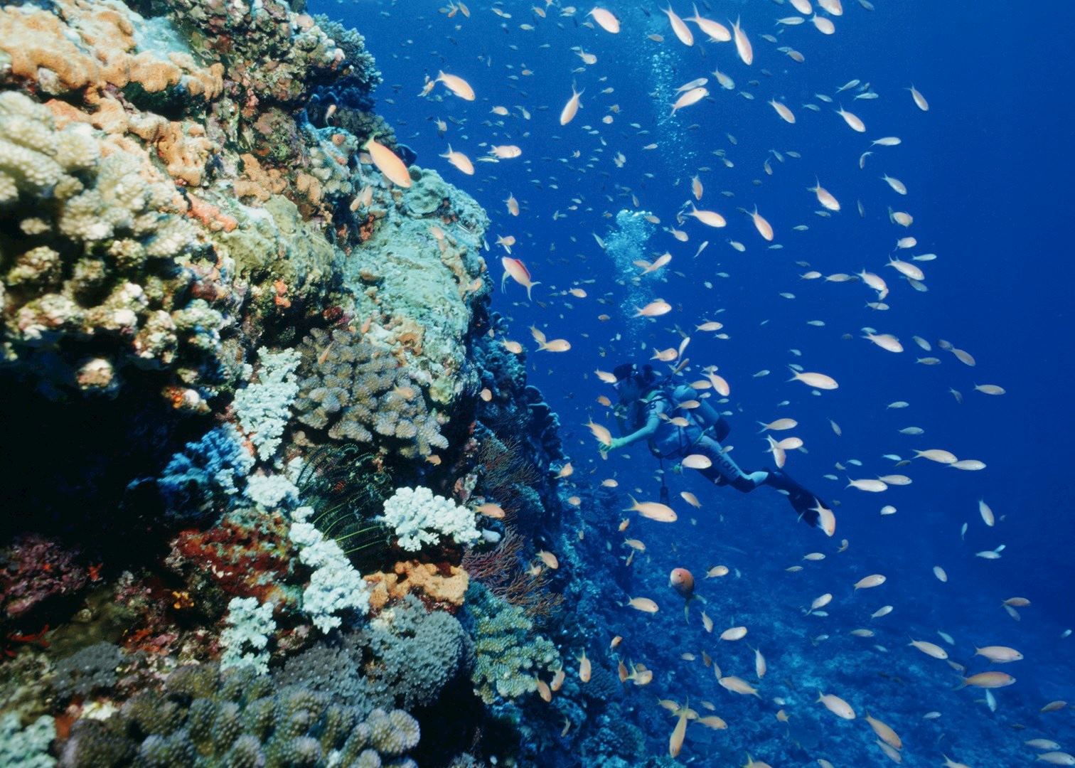 Visit Okinawa on a trip to Japan | Audley Travel