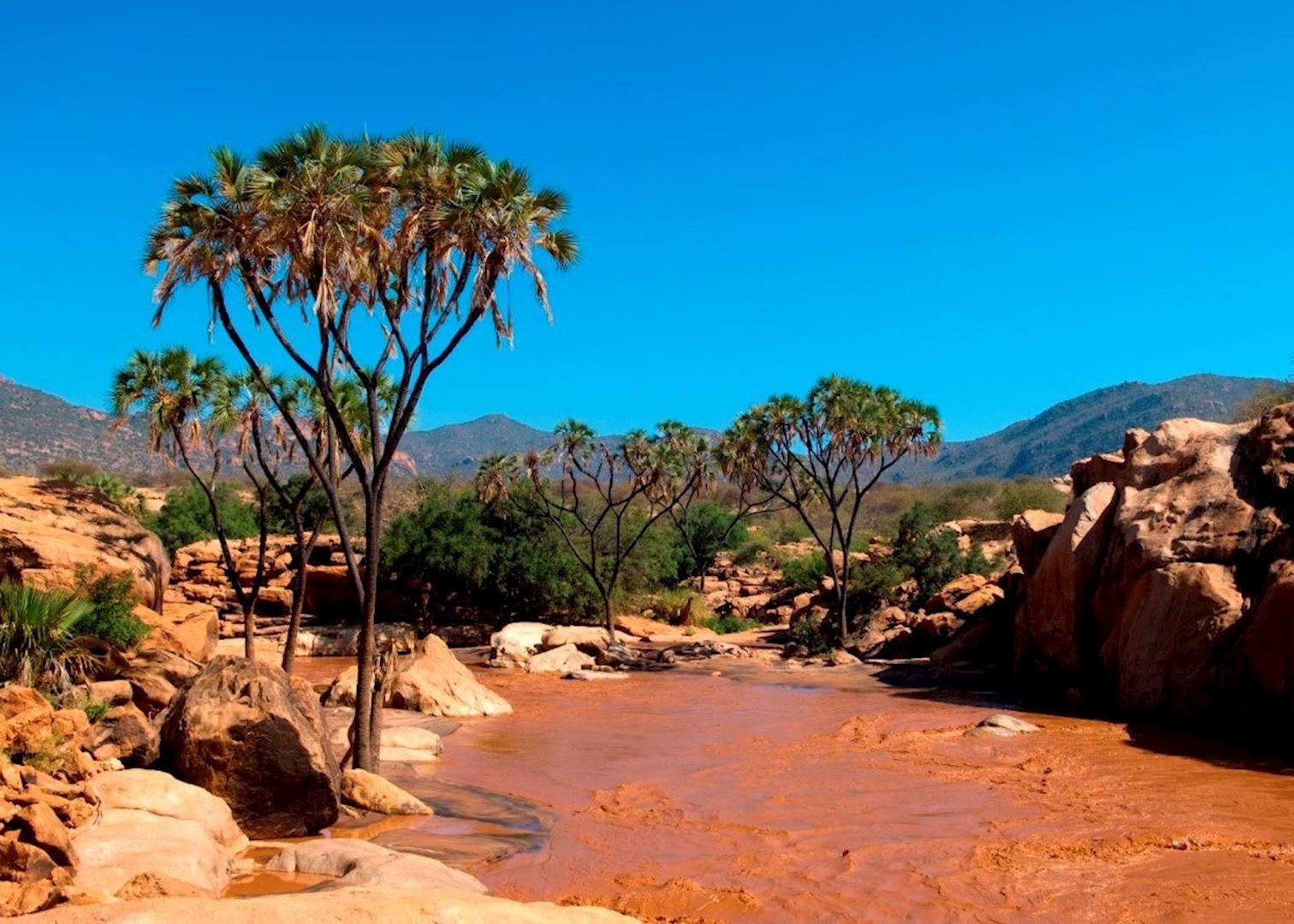 Visit Shaba National Reserve in Kenya | Audley Travel