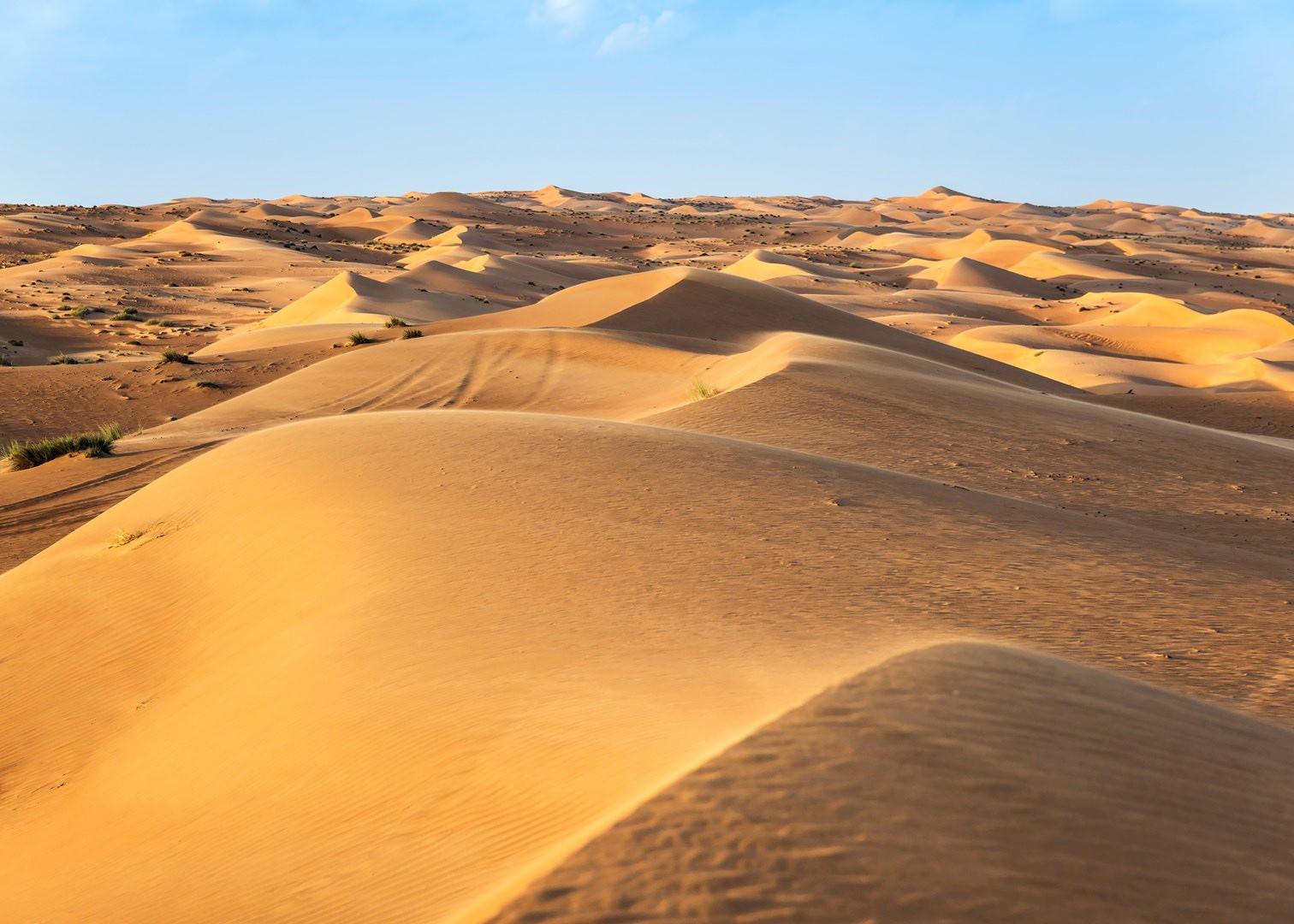Visit The Wahiba Sands on a trip to Oman | Audley Travel