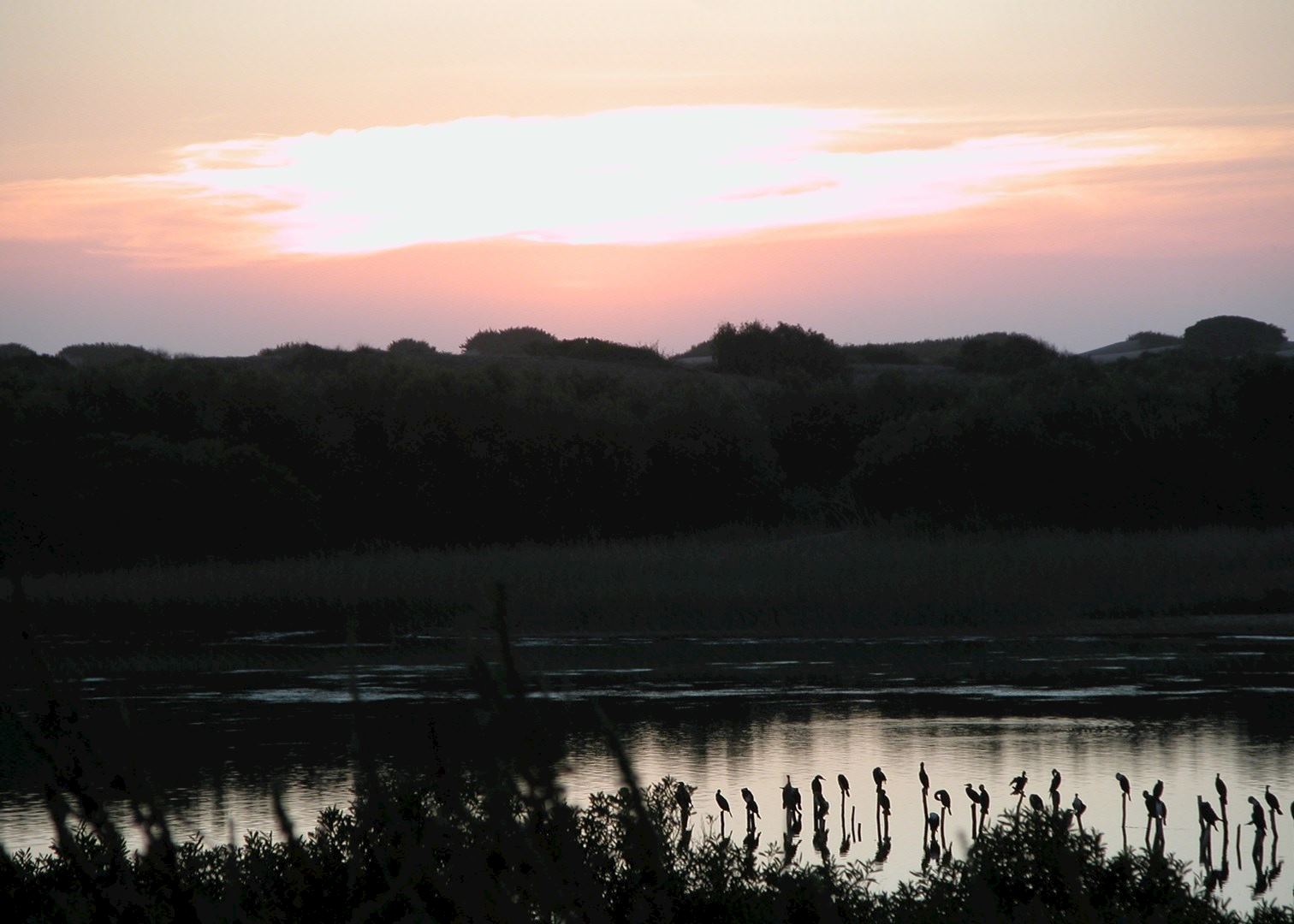 Visit Sous Massa National Park, Morocco | Audley Travel
