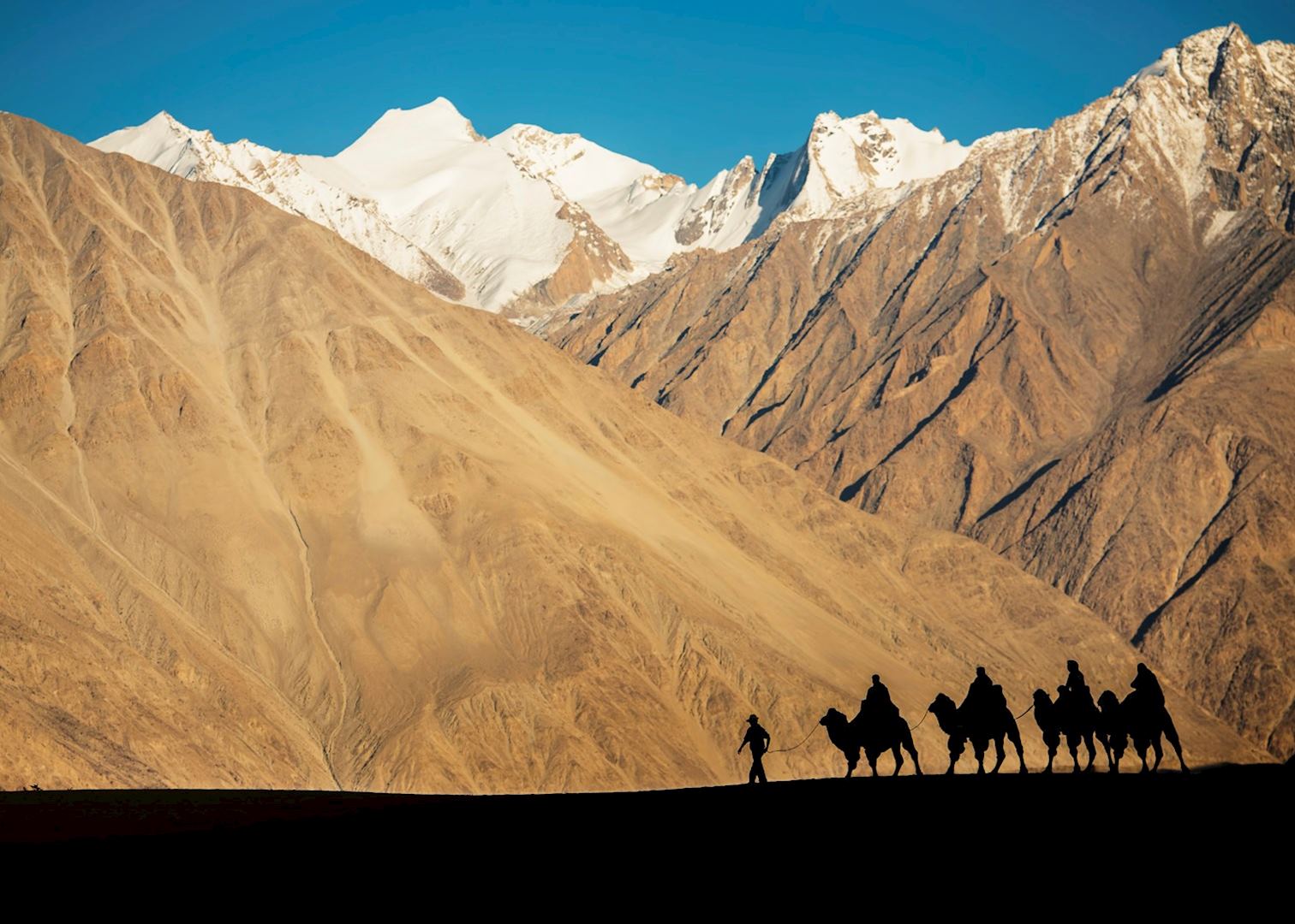 Visit Ladakh on a trip to India | Audley Travel