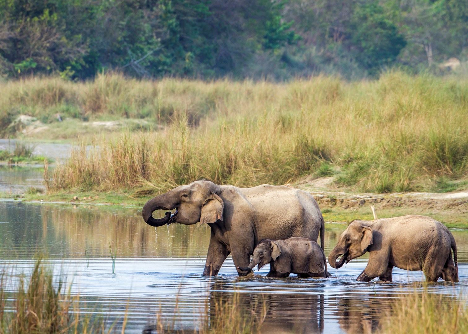 Visit Chitwan National Park in Nepal | Audley Travel