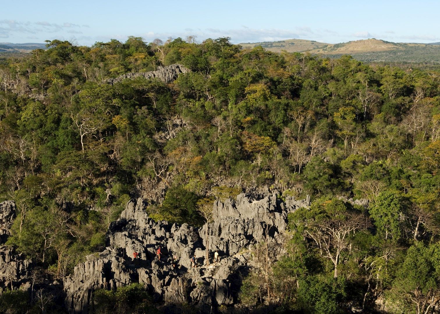 Visit Ankarana Special Reserve, Madagascar | Audley Travel