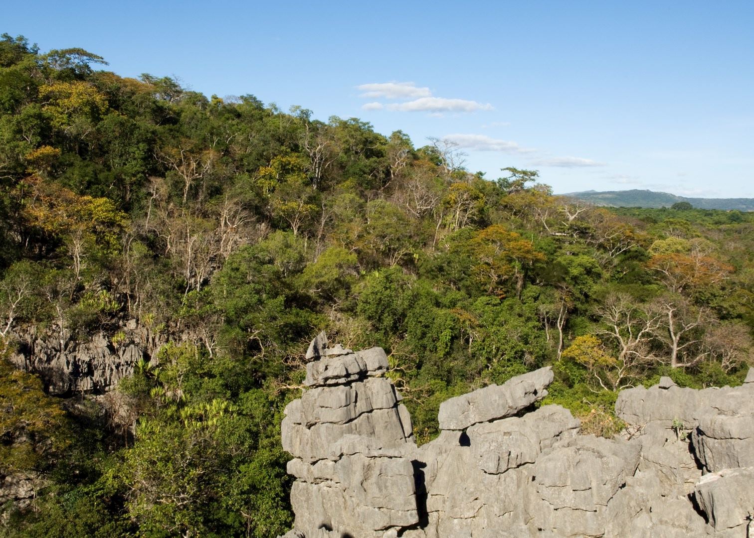 Visit Ankarana Special Reserve, Madagascar | Audley Travel