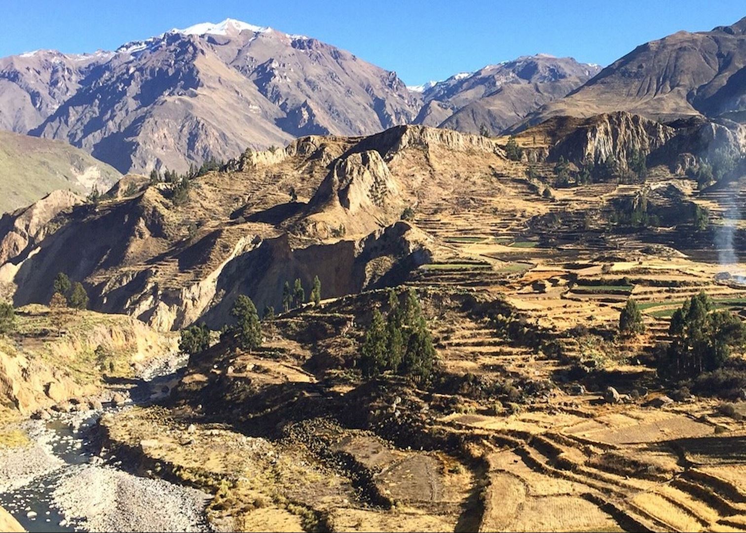 Visit Colca Canyon on a trip to Peru | Audley Travel