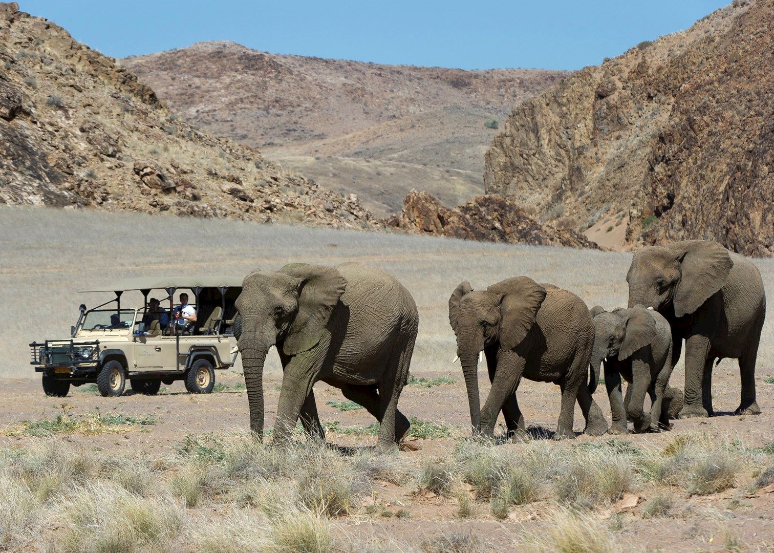 Visit Damaraland on a trip to Namibia | Audley Travel