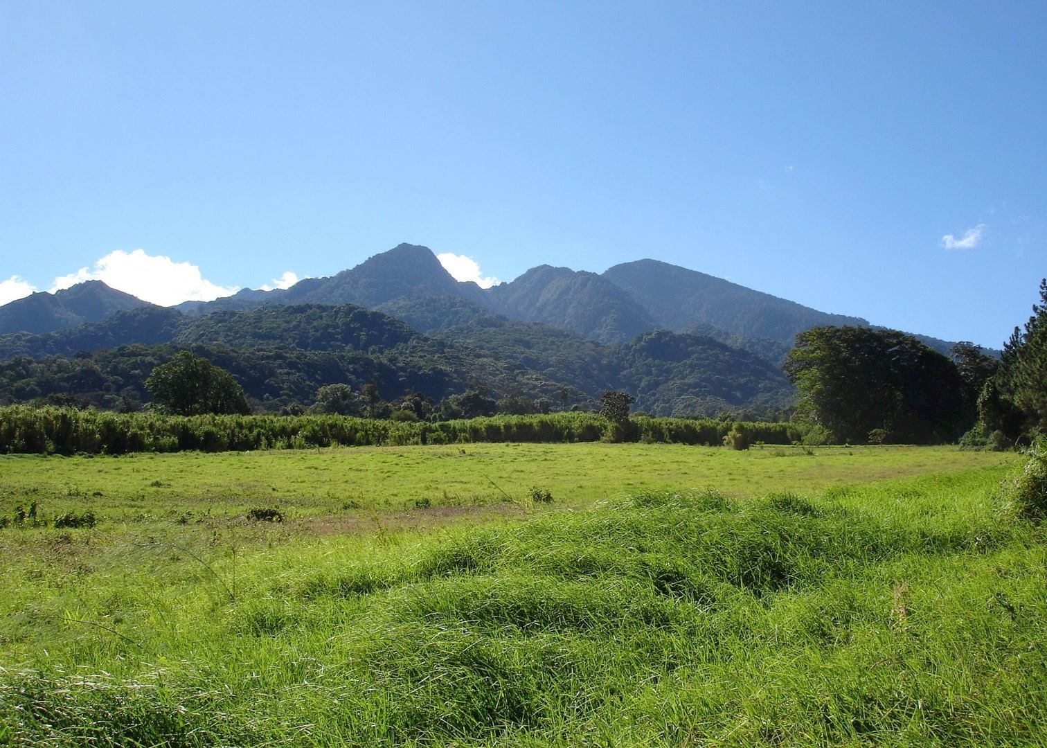 Visit Chiriqui Highlands on a trip to Panama | Audley Travel