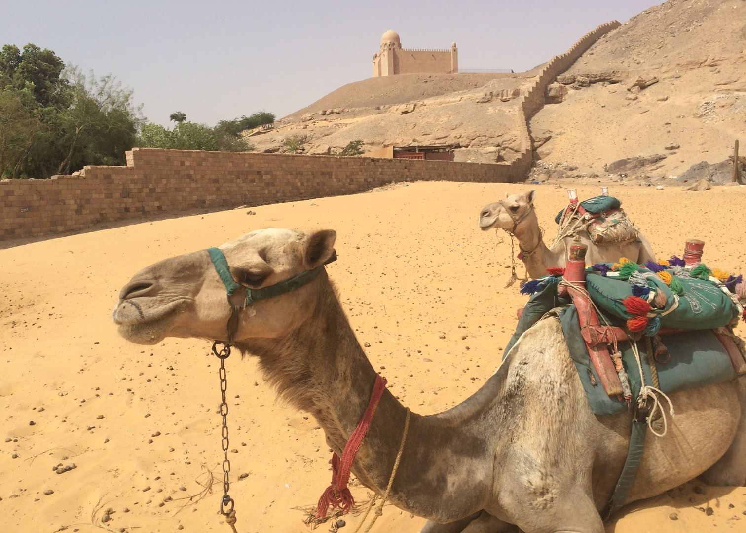 Visit Aswan on a trip to Egypt | Audley Travel