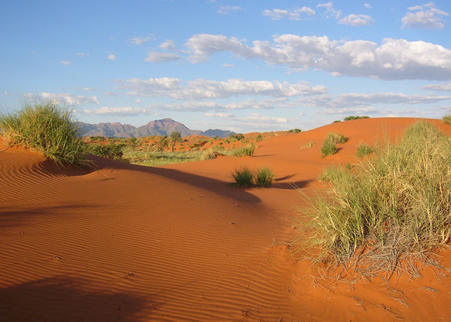 The NamibRand Nature Reserve | Namibia | Audley Travel