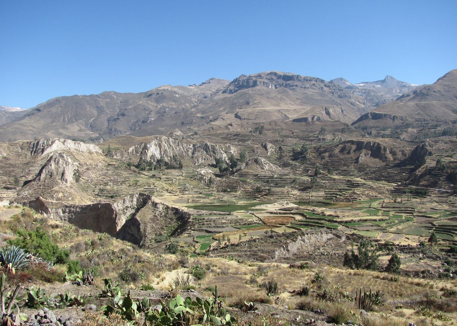 Visit Colca Canyon on a trip to Peru | Audley Travel