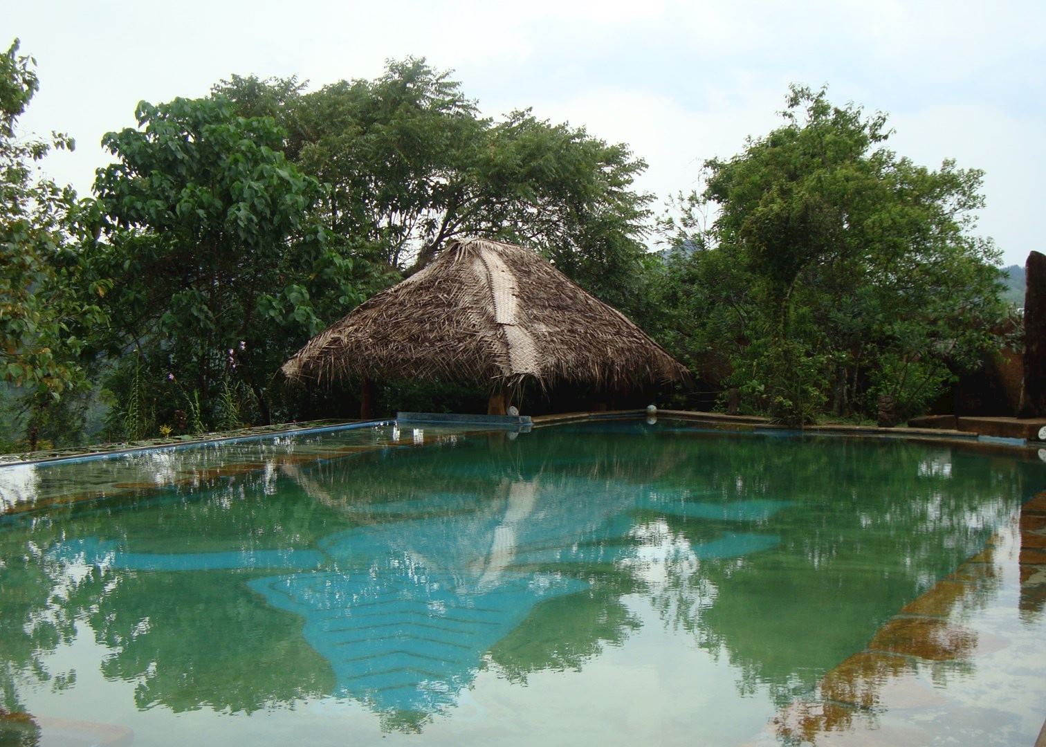 Rainforest Edge | Sinharaja Biosphere | Audley Travel