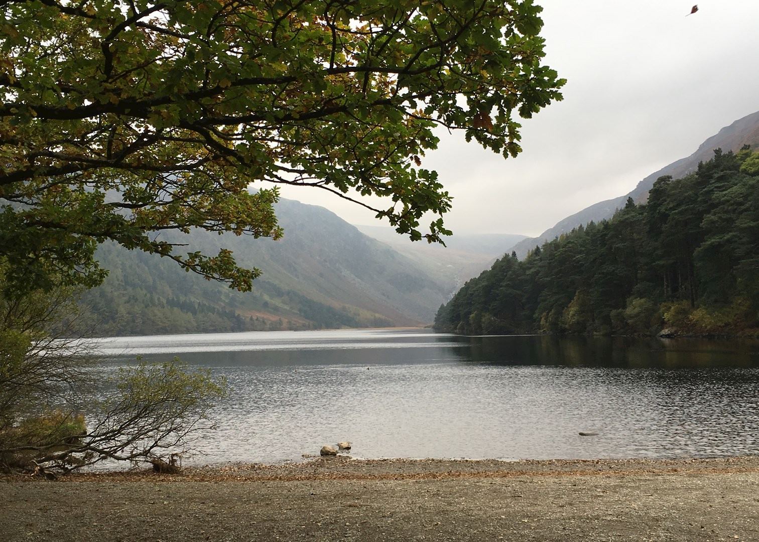 Hiking in Glendalough and the Wicklow Mountains | Audley Travel