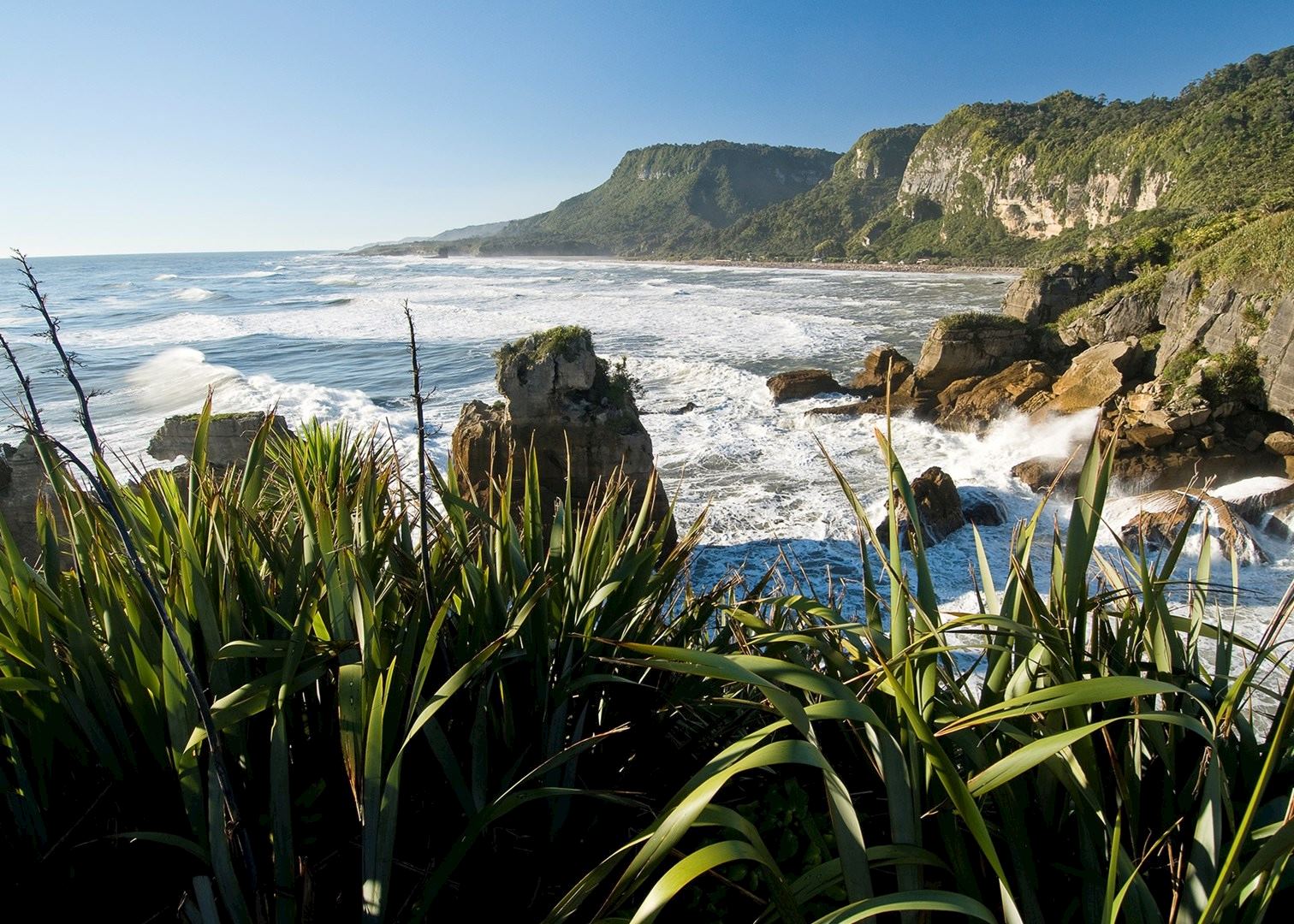 Visit Punakaiki on a trip to New Zealand | Audley Travel