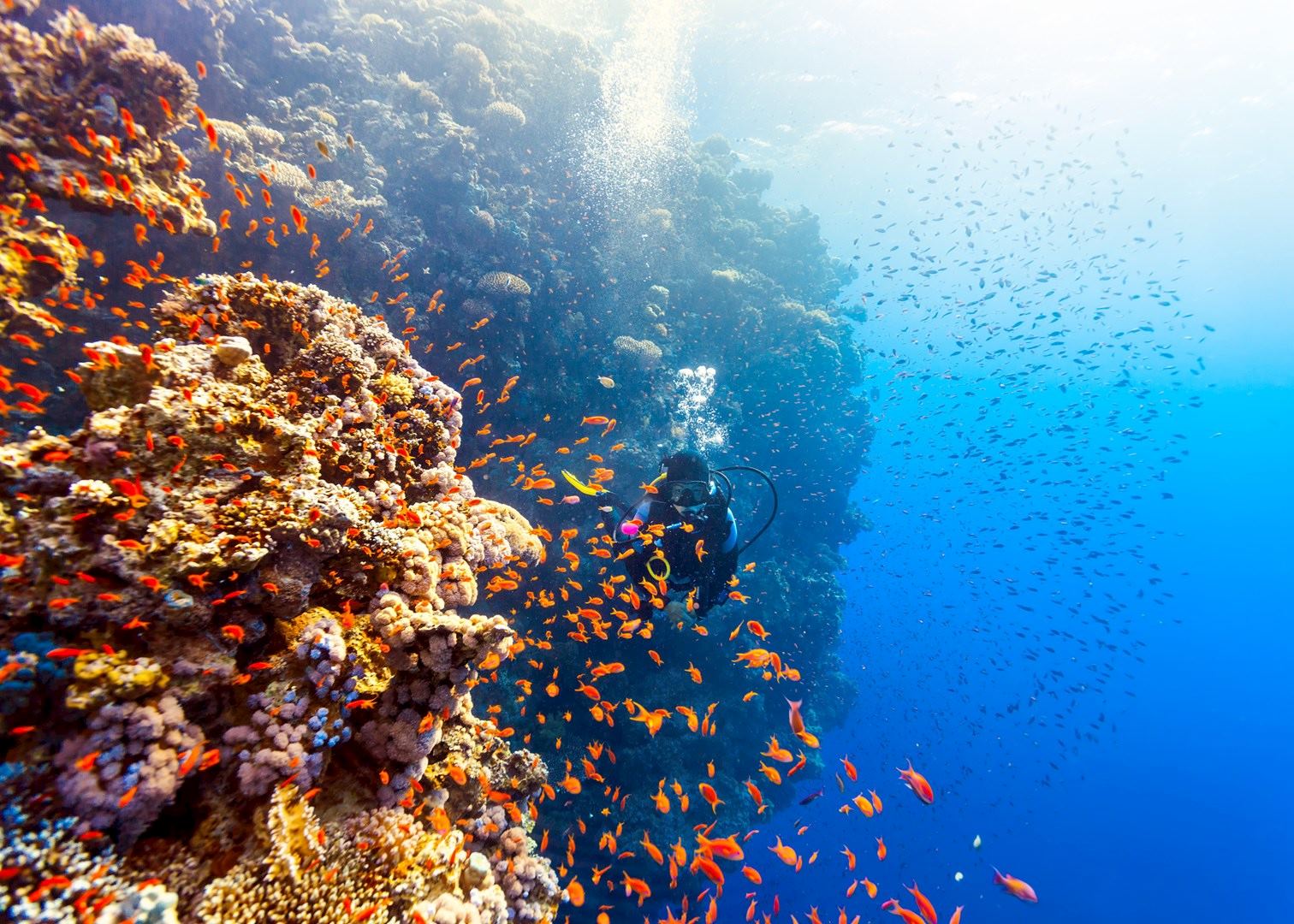 Visit Hurghada on a trip to Egypt | Audley Travel
