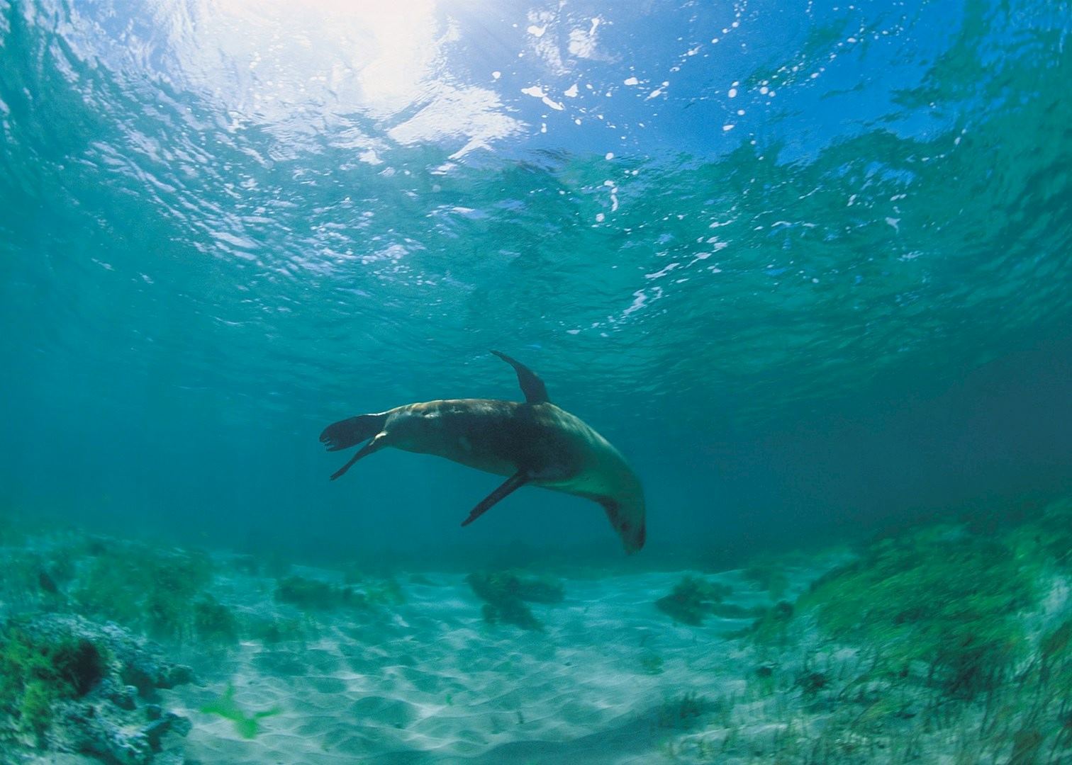 Visit Baird Bay on a trip to Australia | Audley Travel