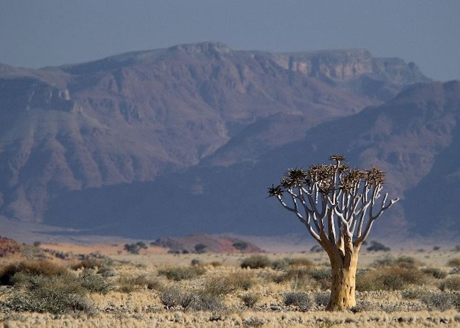 Visit The Naukluft Mountains in Namibia | Audley Travel