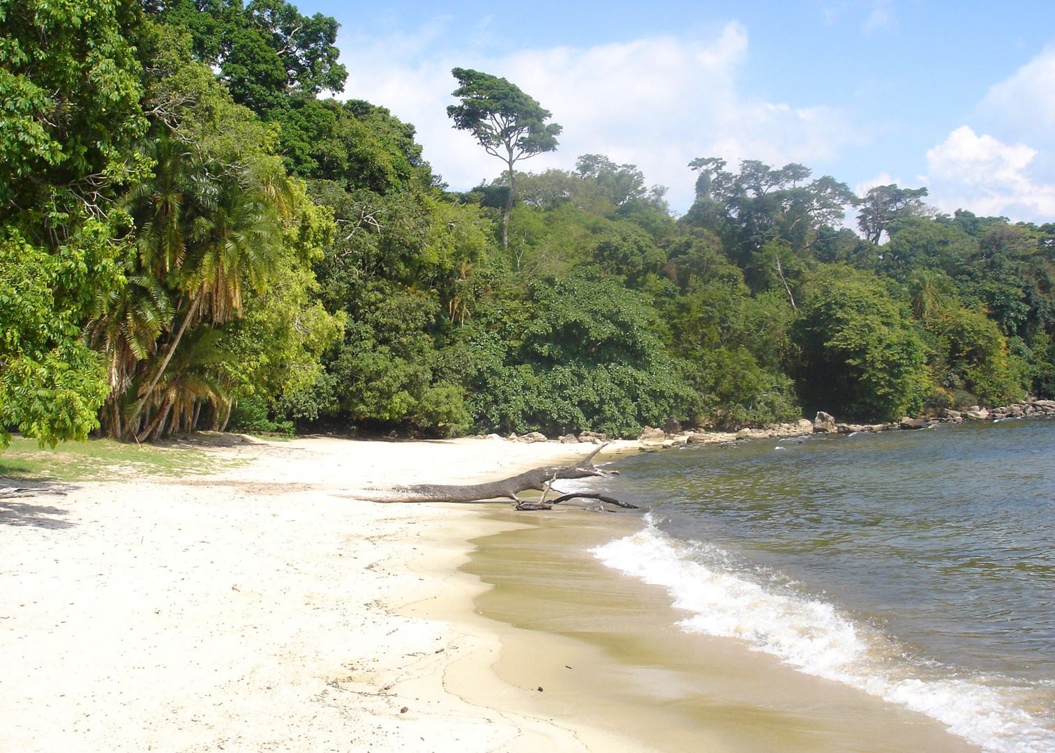 Visit Rubondo Island on a trip to Tanzania | Audley Travel