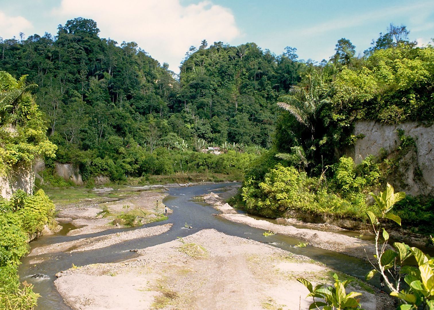 Visit Tangkahan on a trip to Indonesia | Audley Travel