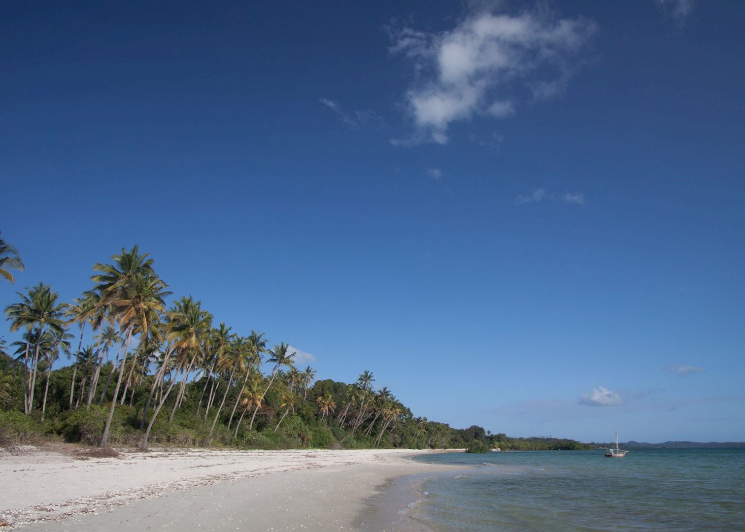 Visit Pemba Island, Zanzibar Archipelago | Audley Travel