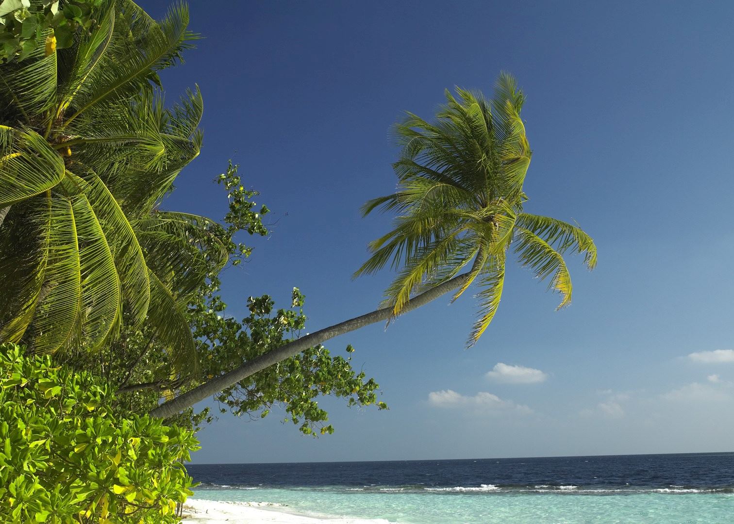 Maldives highlights guide | Audley Travel