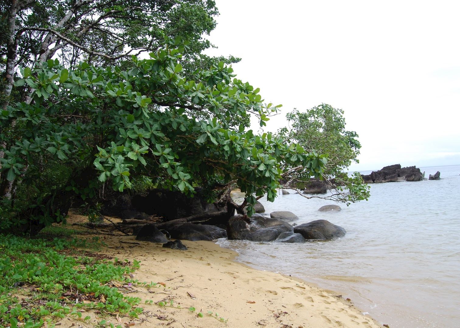 Visit Masoala National Park, Madagascar | Audley Travel