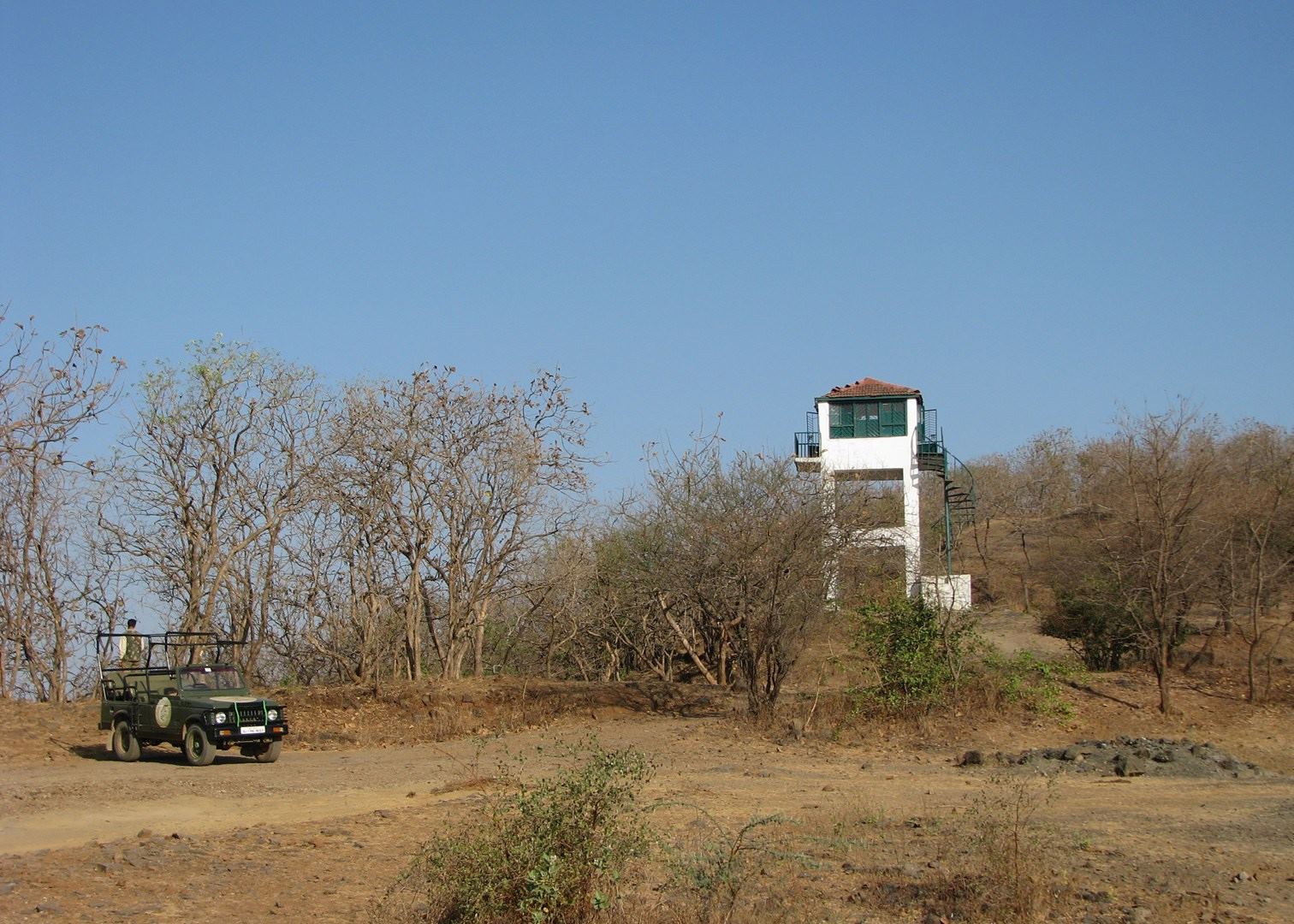 Visit Sasan Gir National Park in India | Audley Travel