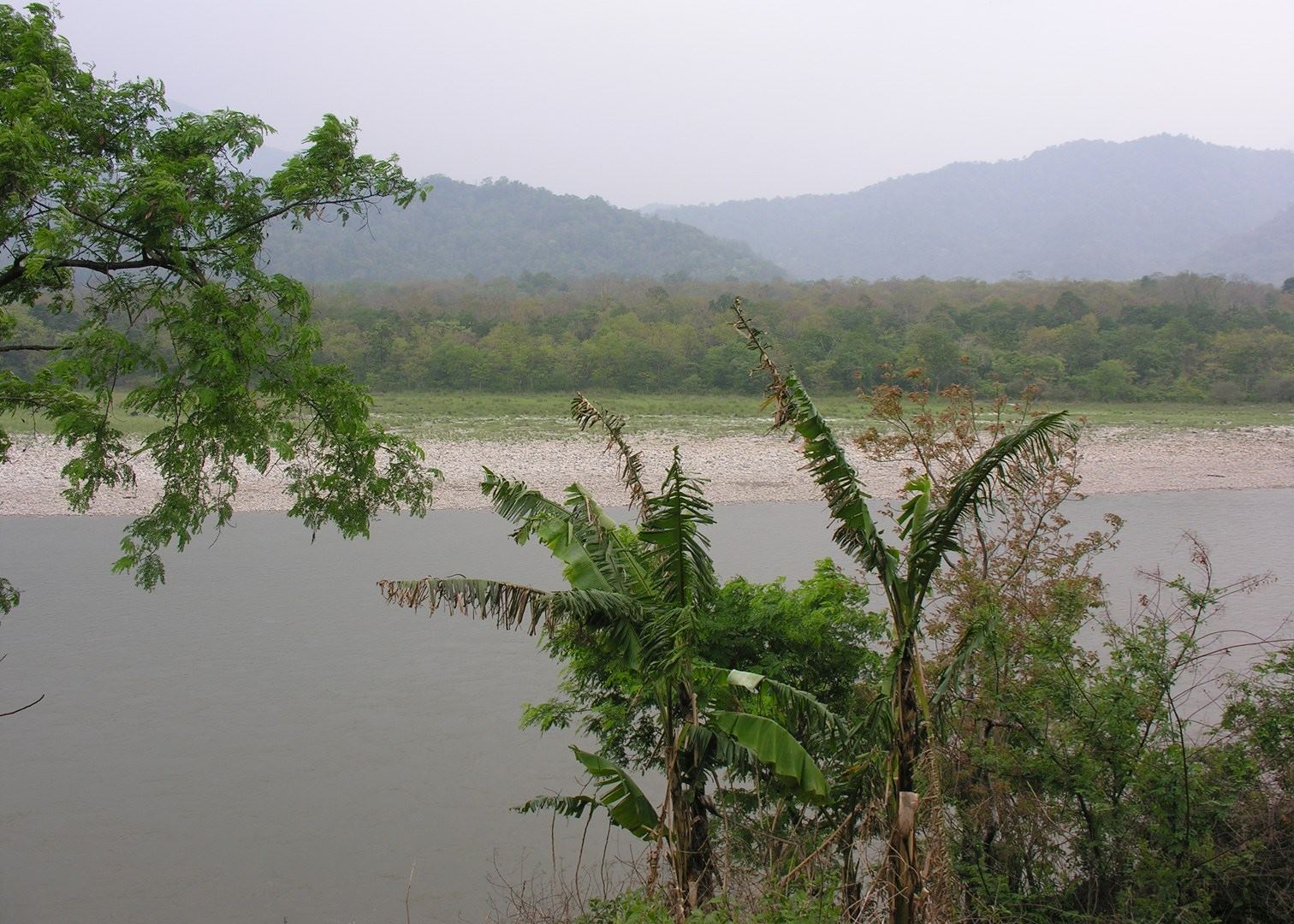 Visit Manas National Park on a trip to India | Audley Travel