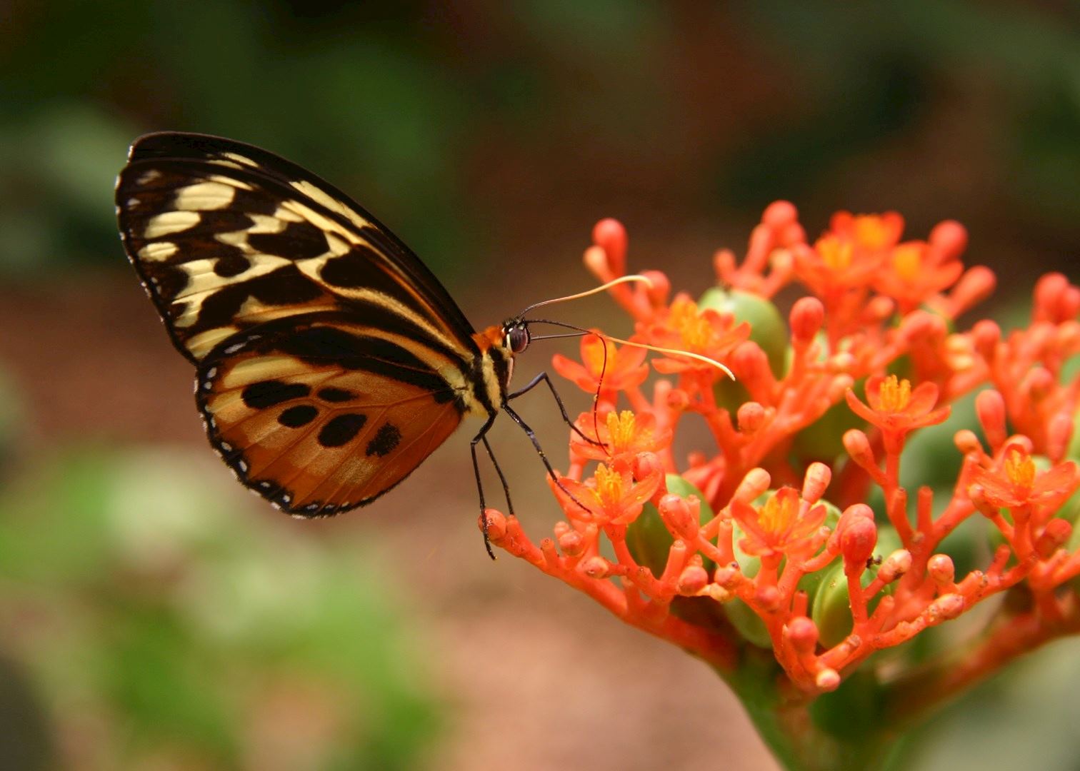 Amazon Excursions, Ecuador | Audley Travel