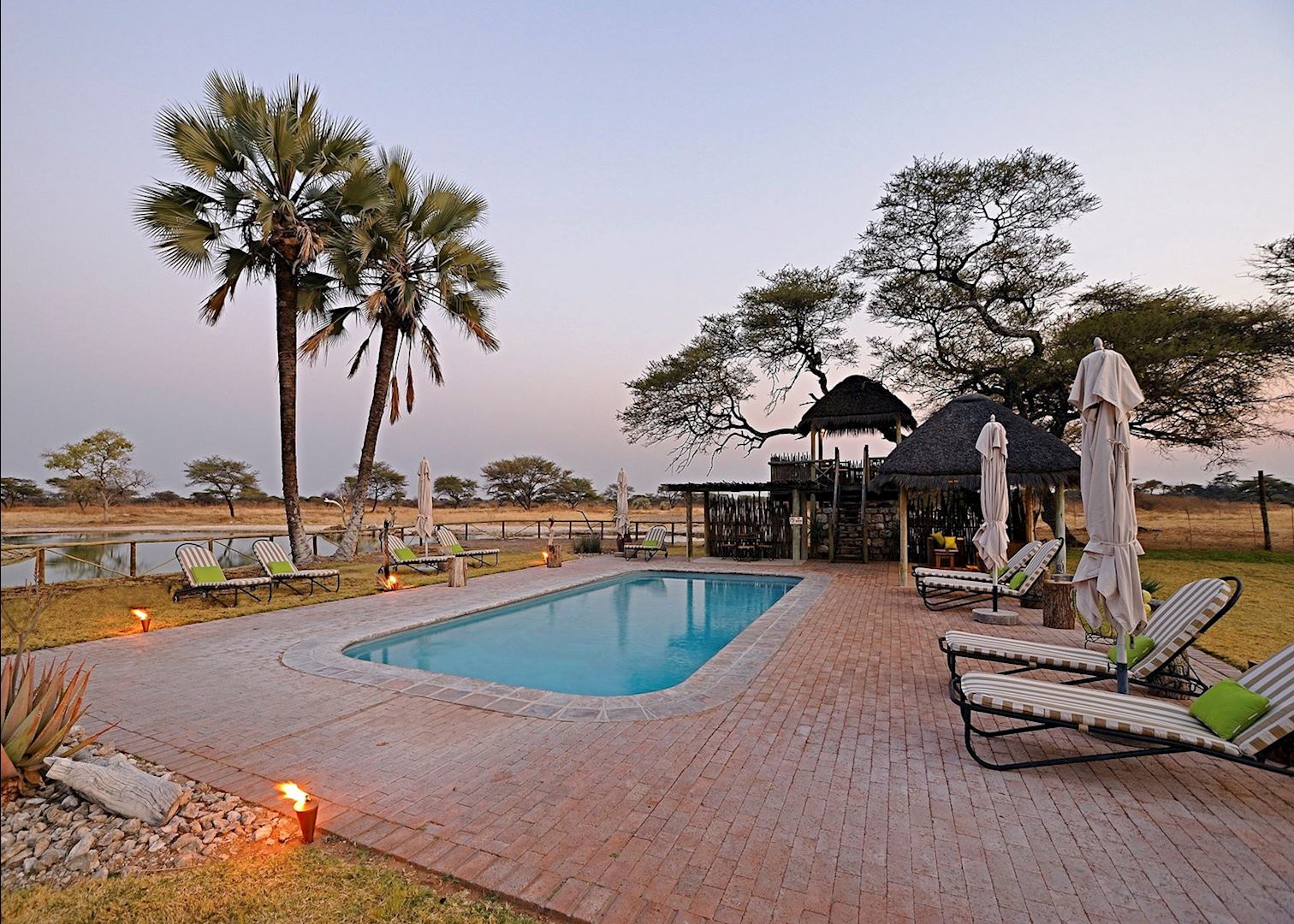 Onguma Bush Camp | Etosha National Park | Audley Travel
