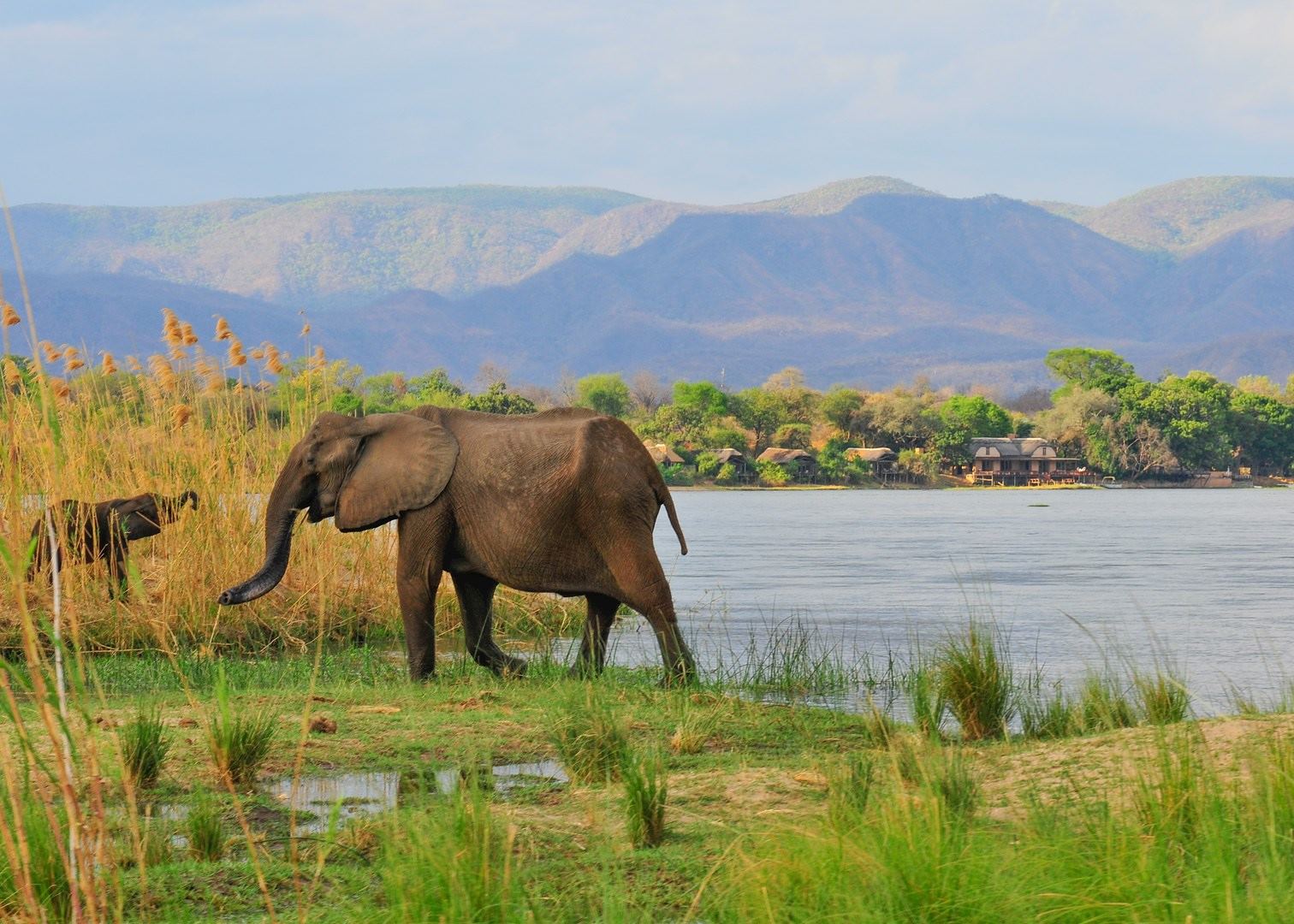 Royal Zambezi Lodge | Audley Travel