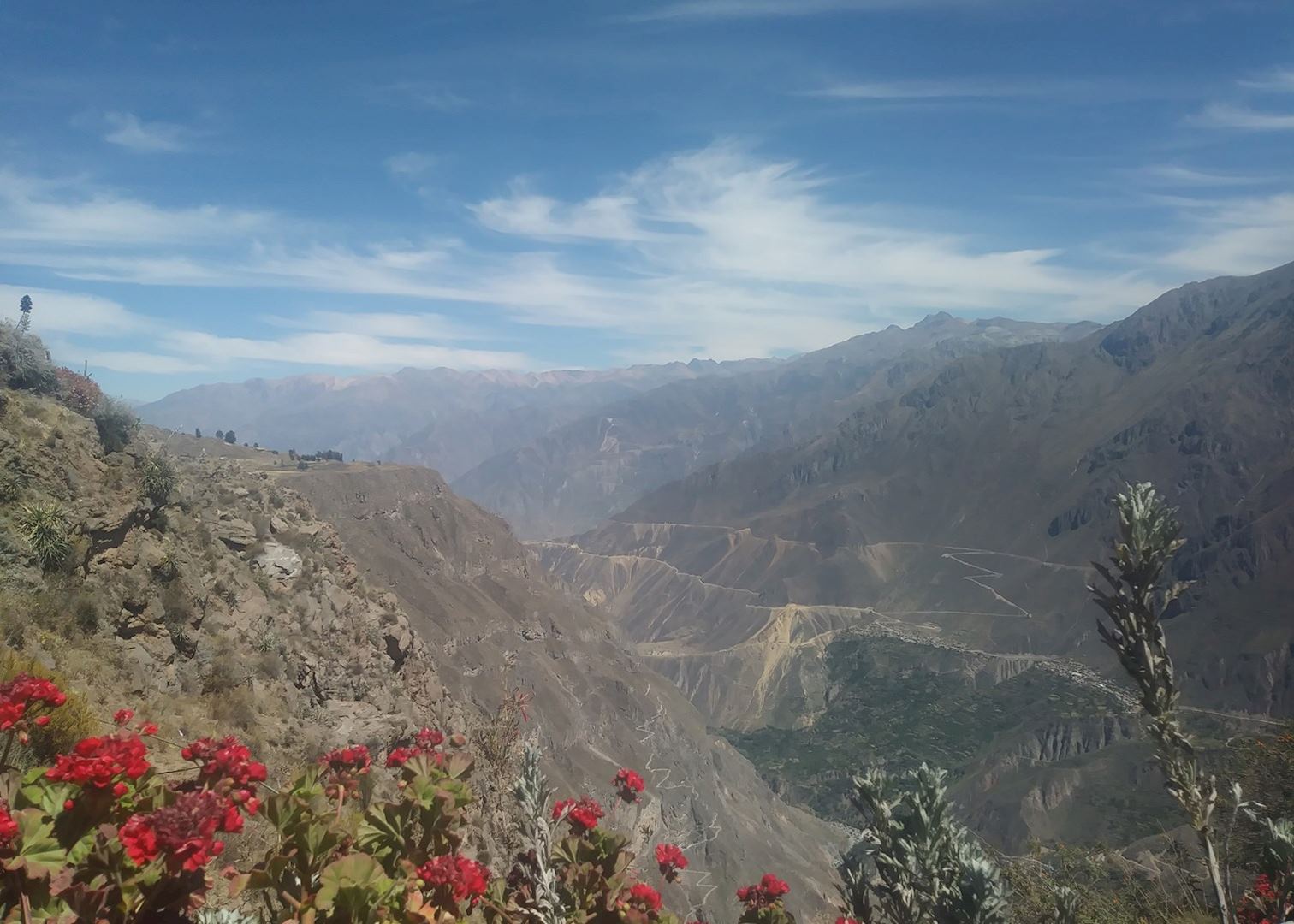Visit Colca Canyon on a trip to Peru | Audley Travel