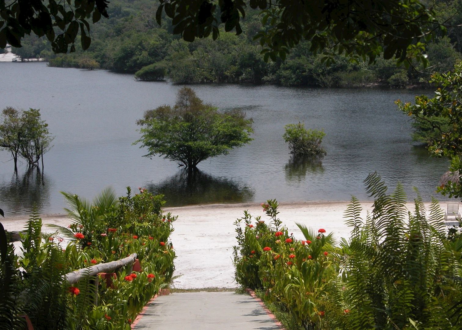 Amazon Eco Park, Amazon Rainforest | Audley Travel