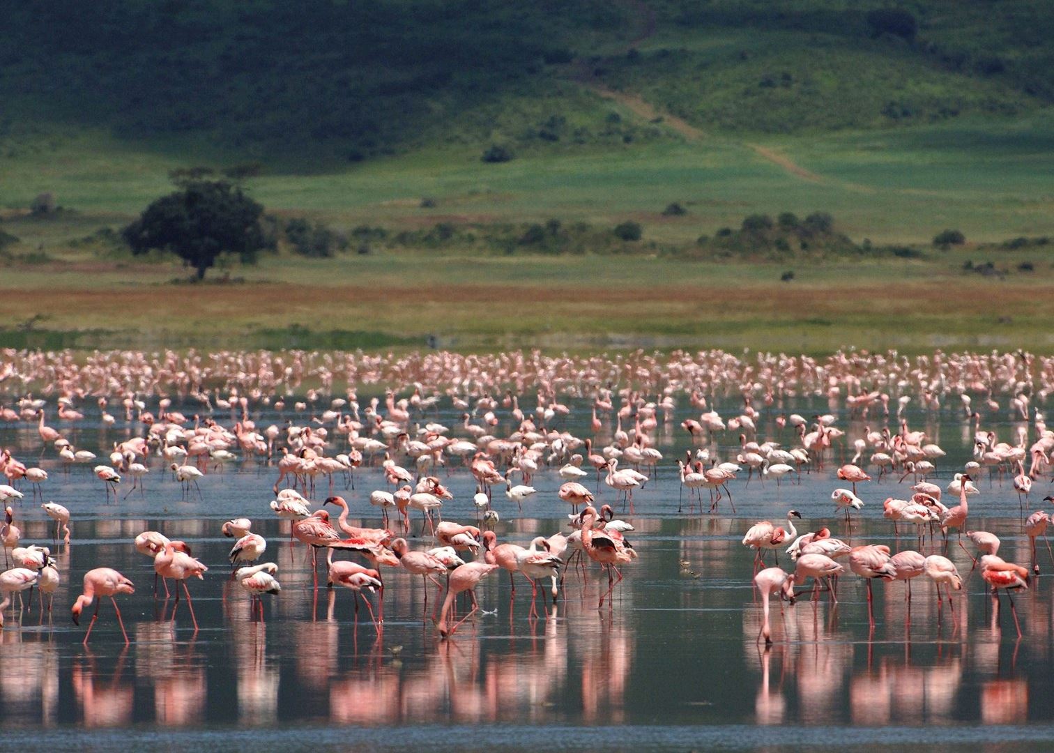 Visit Ngorongoro Conservation Area | Audley Travel