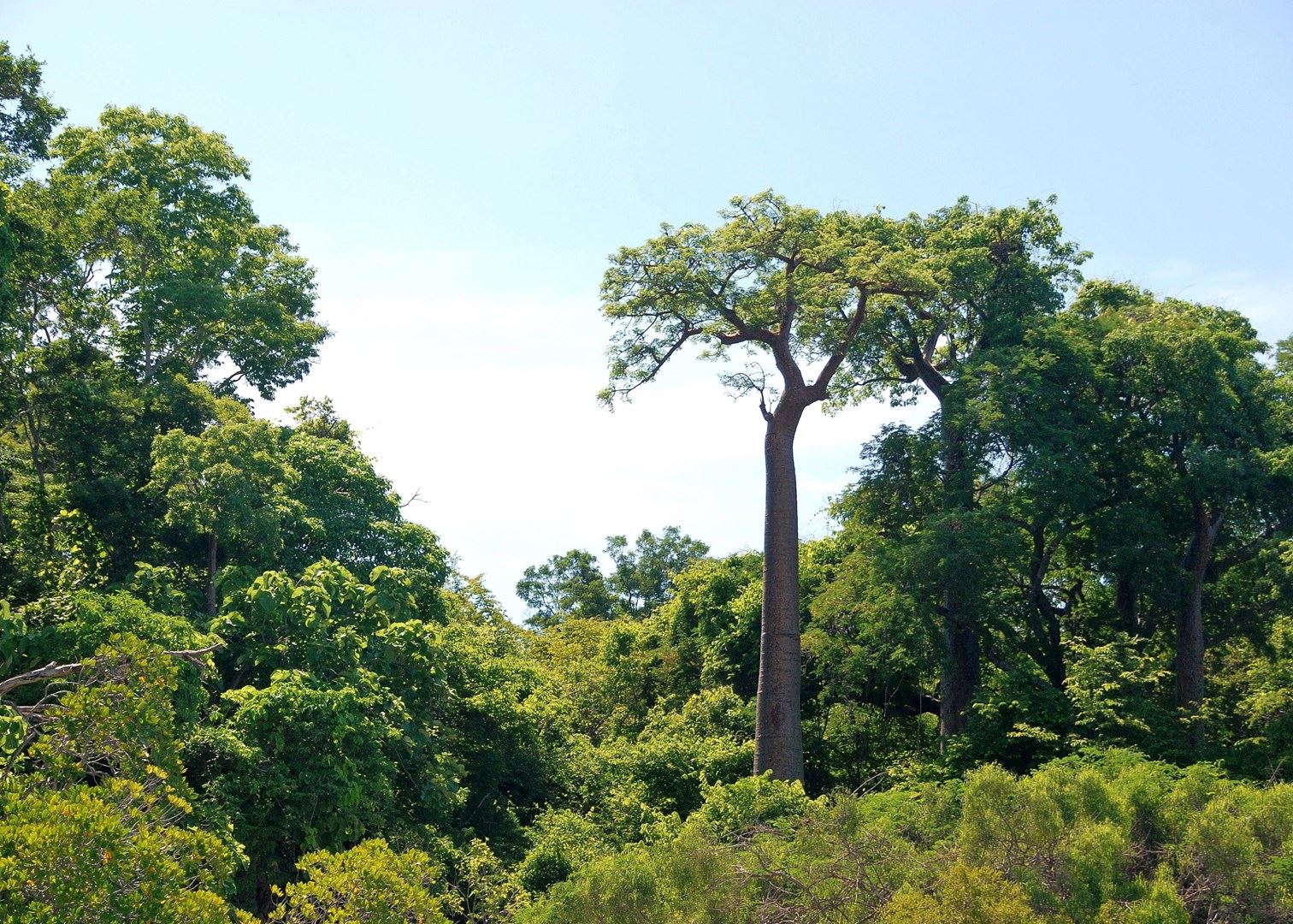 Visit Anjajavy Private Nature Reserve | Audley Travel
