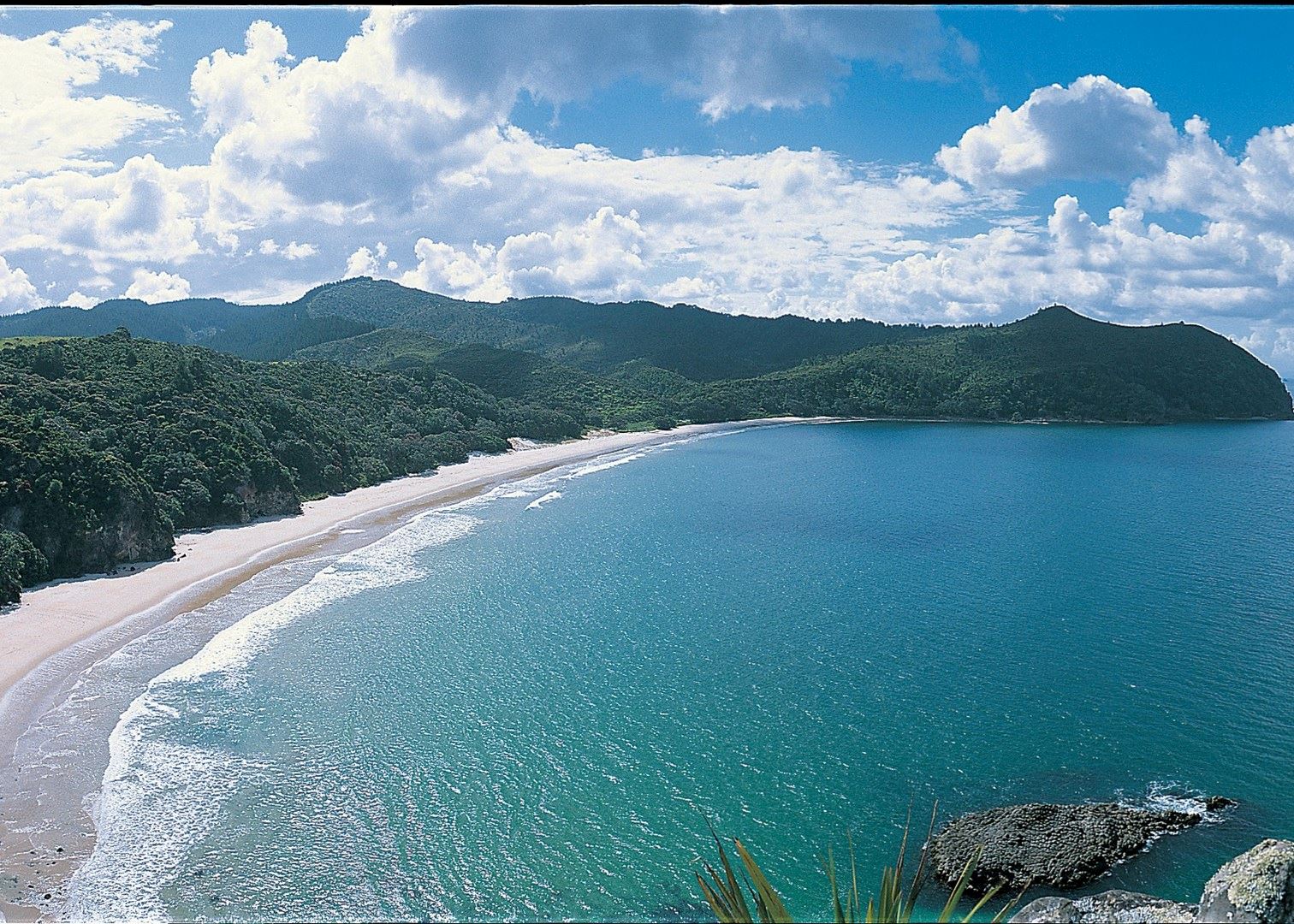 Kiwi Dundee Nature & Coast, New Zealand | Audley Travel