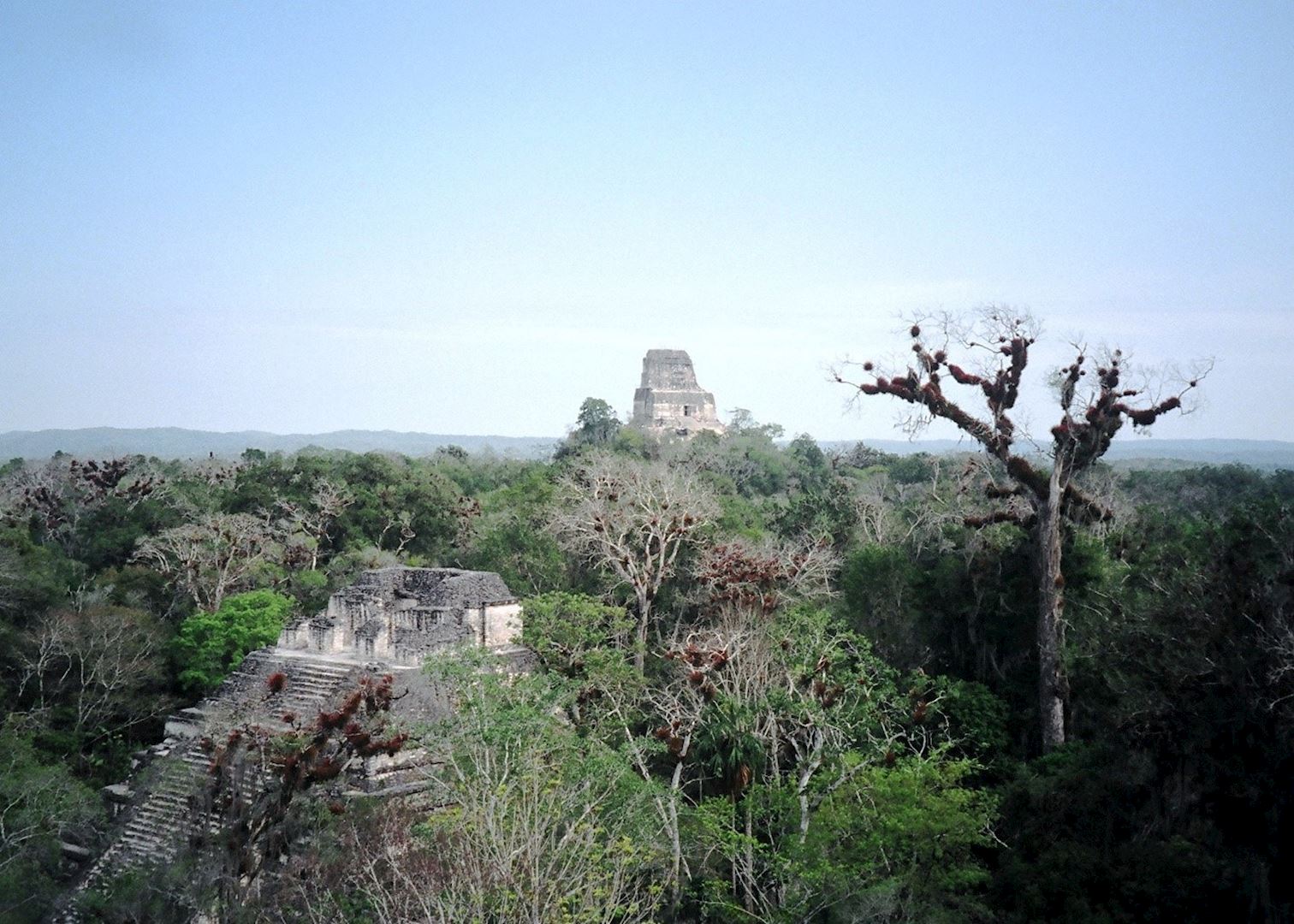 Visit Tikal & El Petén on a trip to Guatemala | Audley Travel