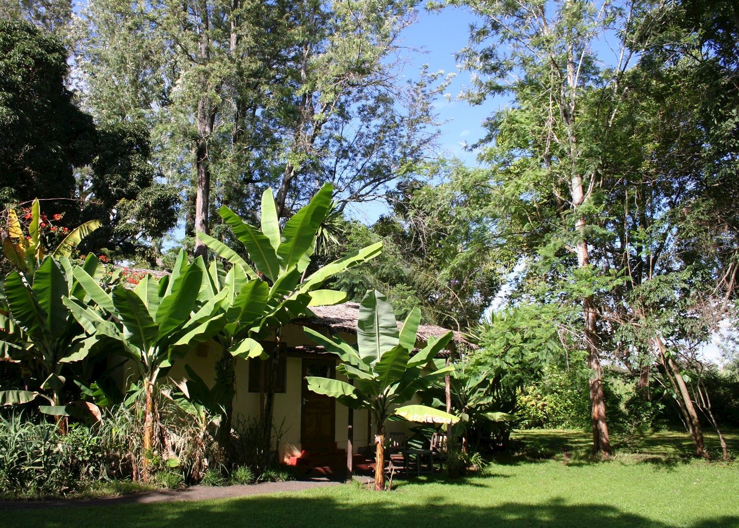 Rivertrees Lodge | Hotels in Arusha | Audley Travel
