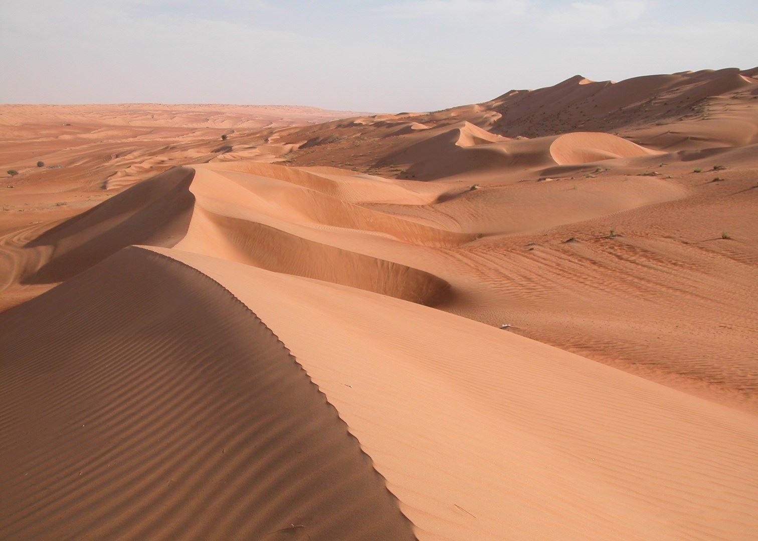 Visit The Wahiba Sands on a trip to Oman | Audley Travel