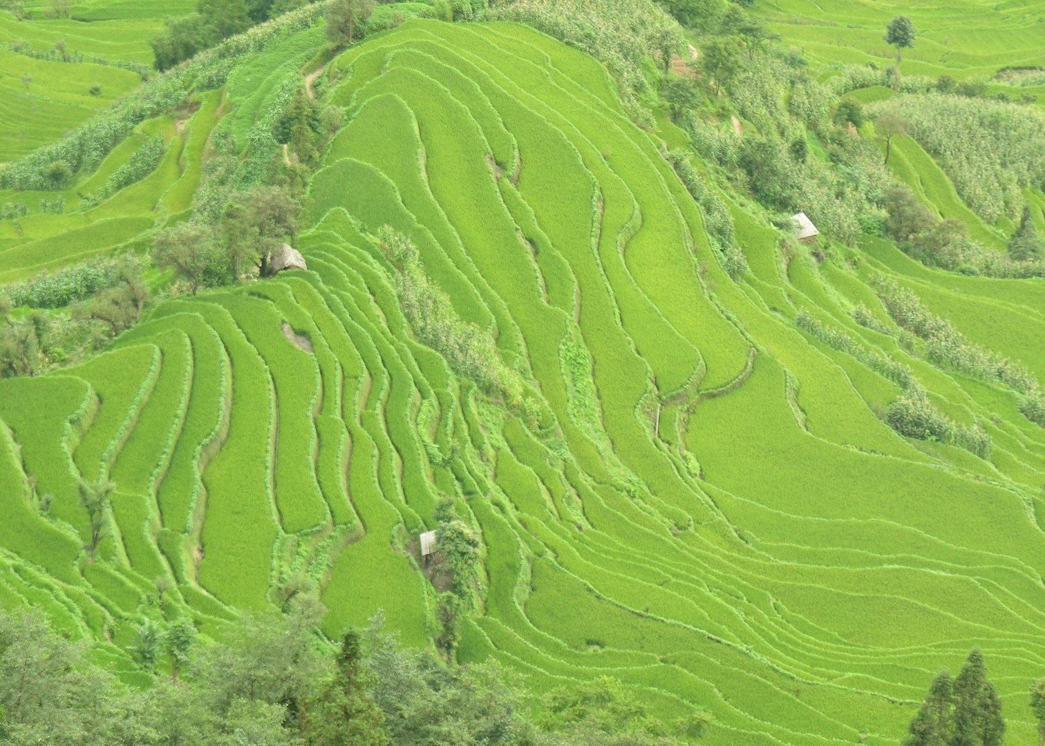 Visit Yuanyang on a trip to China | Audley Travel