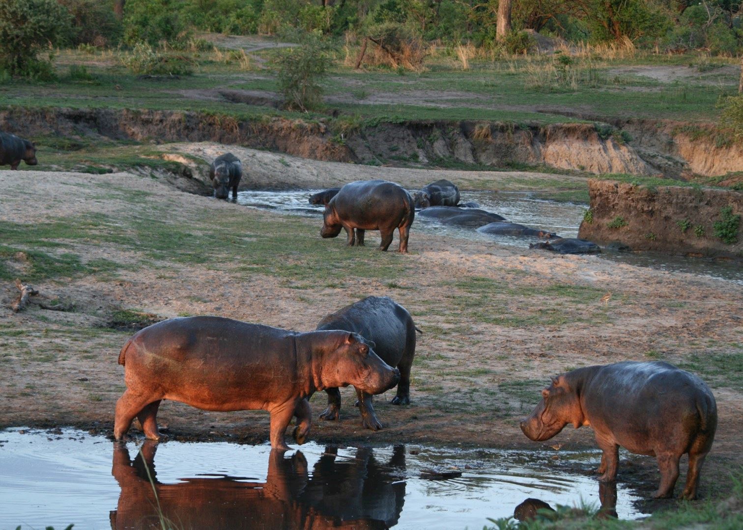 Visit Katavi National Park in Tanzania | Audley Travel