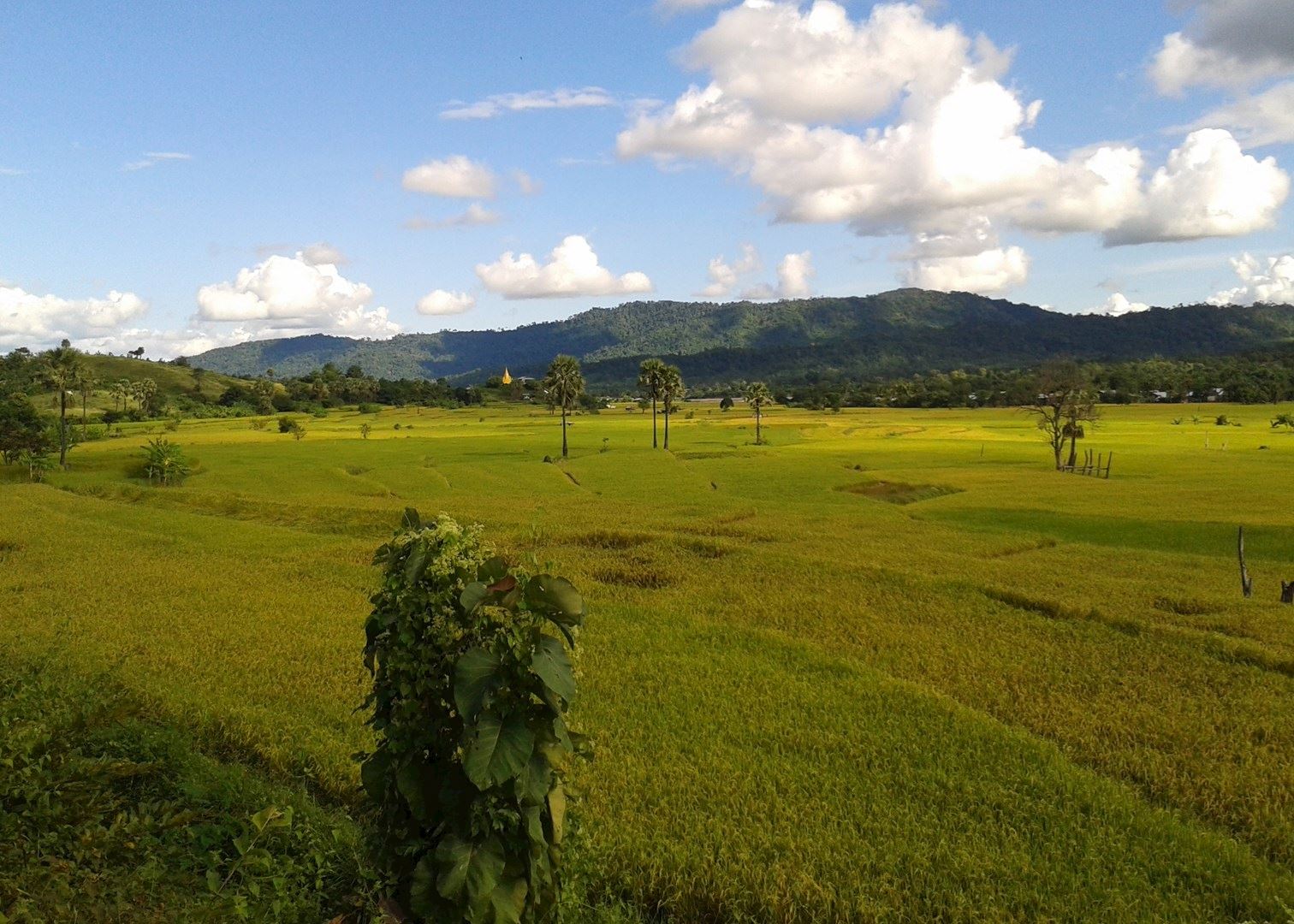 Visit Mindat on a trip to Burma (Myanmar) | Audley Travel