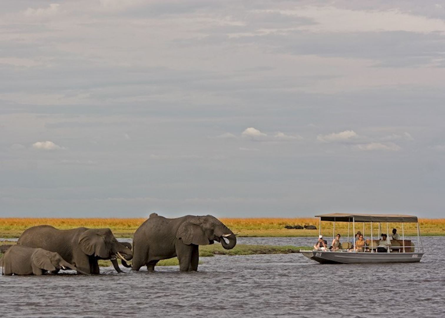 Visit Chobe National Park on a trip to Botswana | Audley Travel