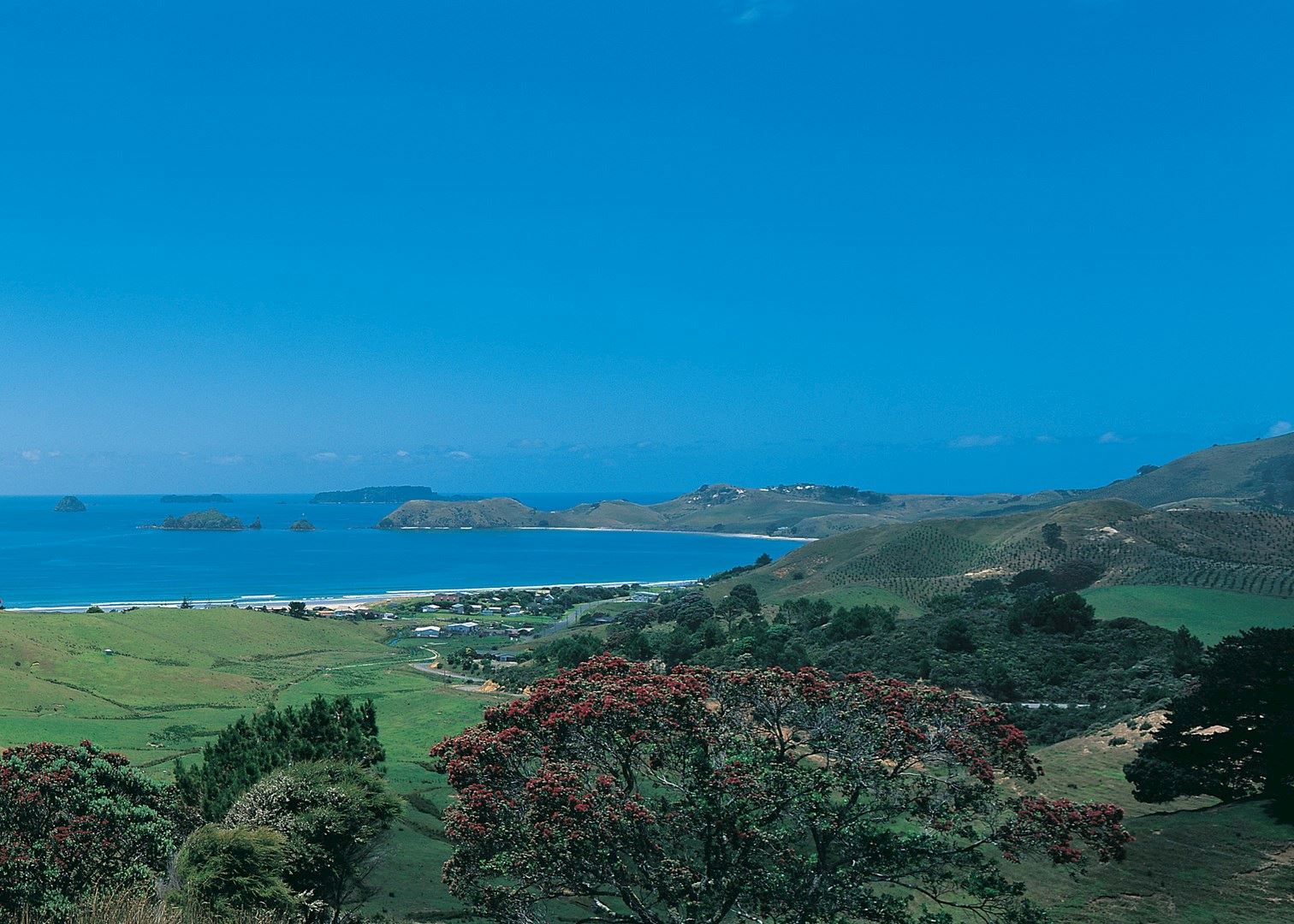 Kiwi Dundee Nature & Coast, New Zealand | Audley Travel