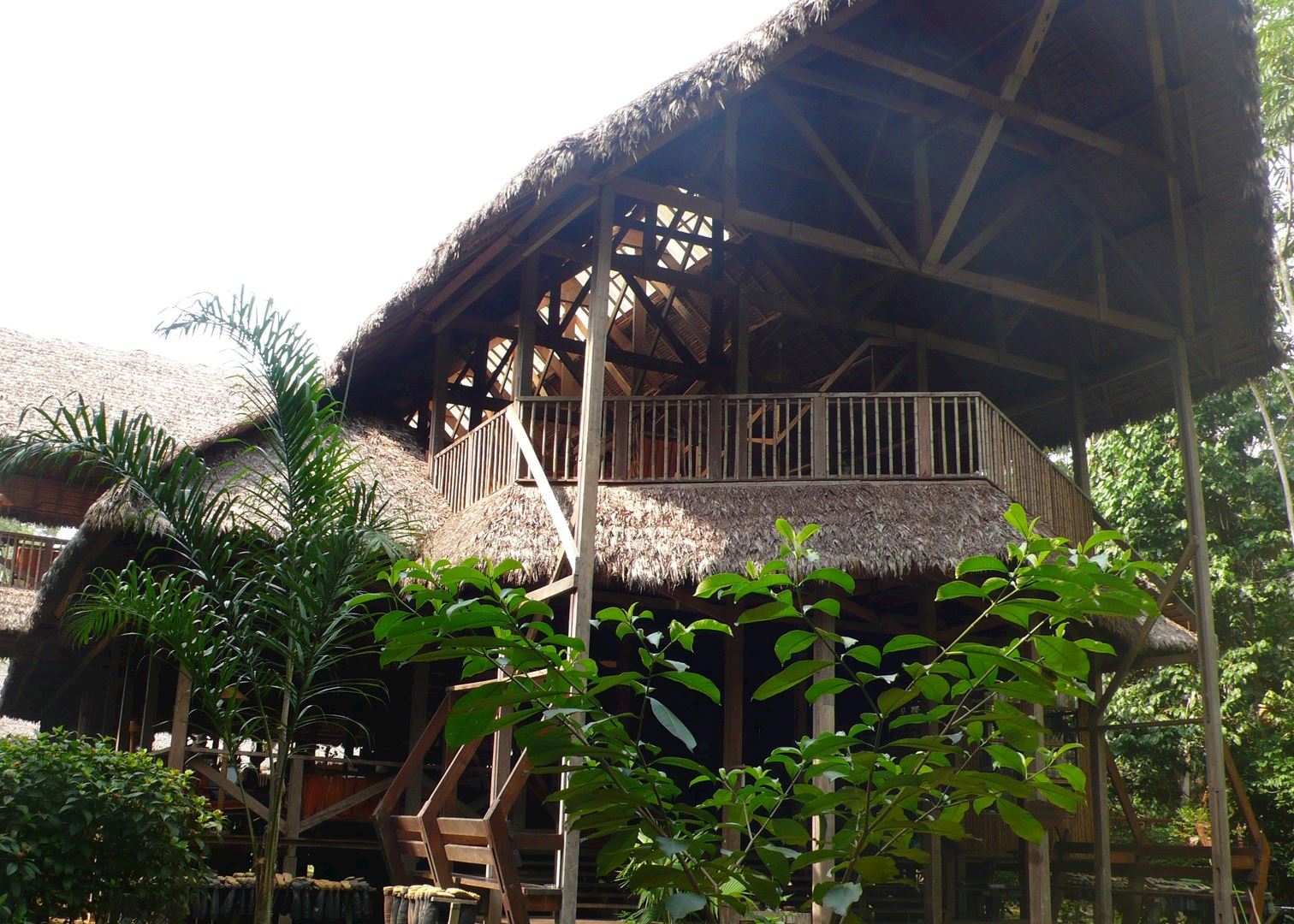 Refugio Amazonas, Southern Amazon | Audley Travel