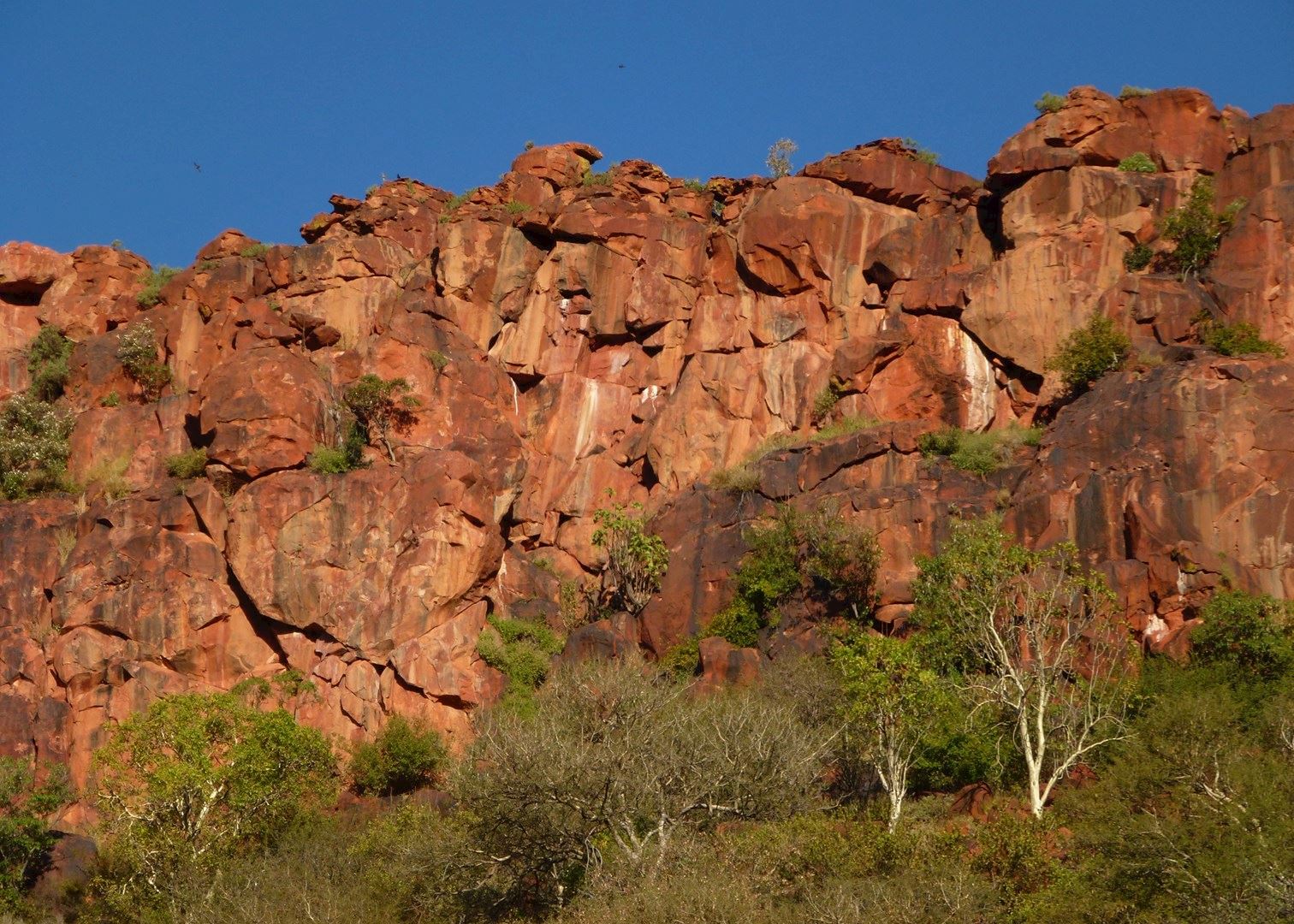 Visit Waterberg Plateau on a trip to Namibia | Audley Travel
