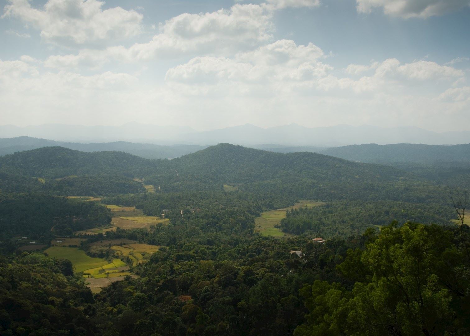 Visit Coorg on a trip to India | Audley Travel