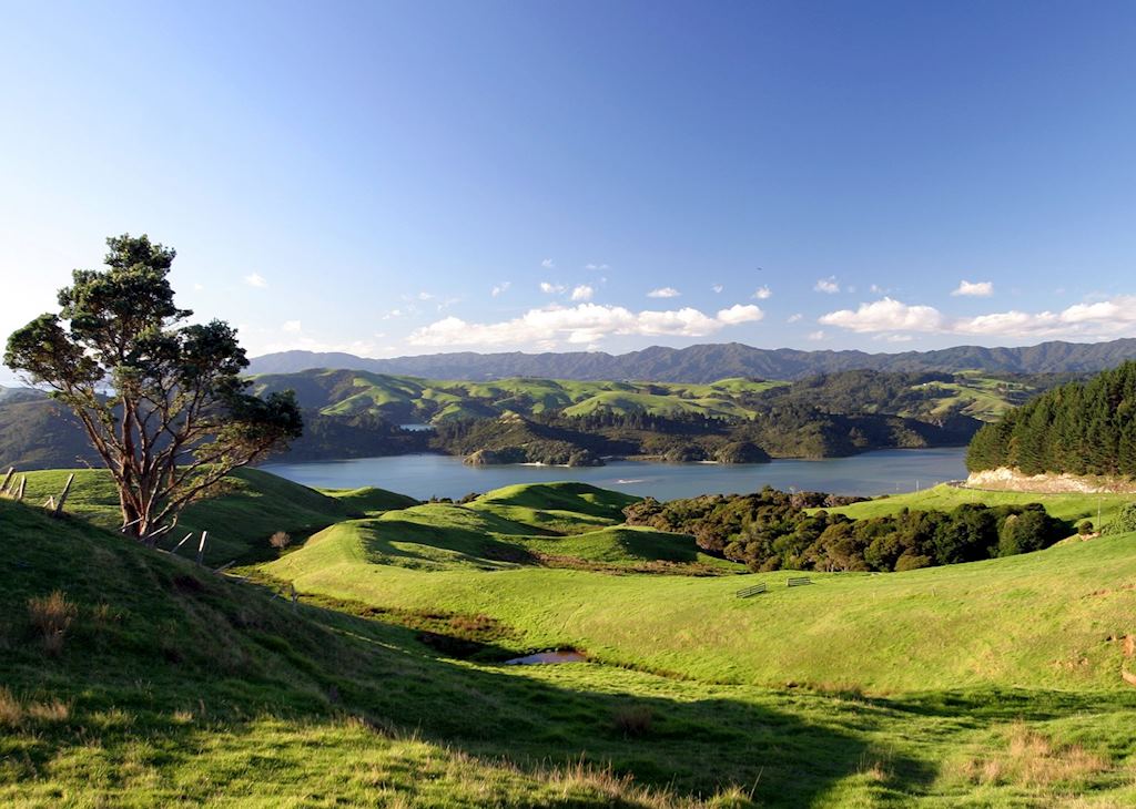 Visit Waikato on a trip to New Zealand | Audley Travel