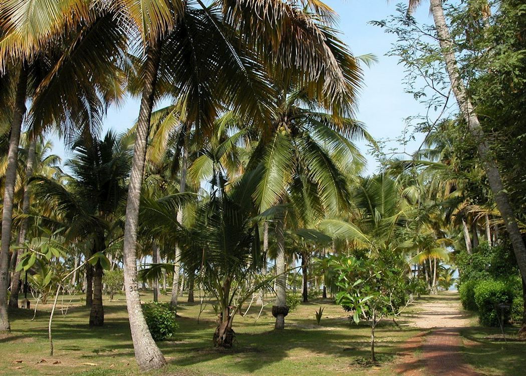 Marari Beach Resort | Hotels in Mararikulam | Audley Travel